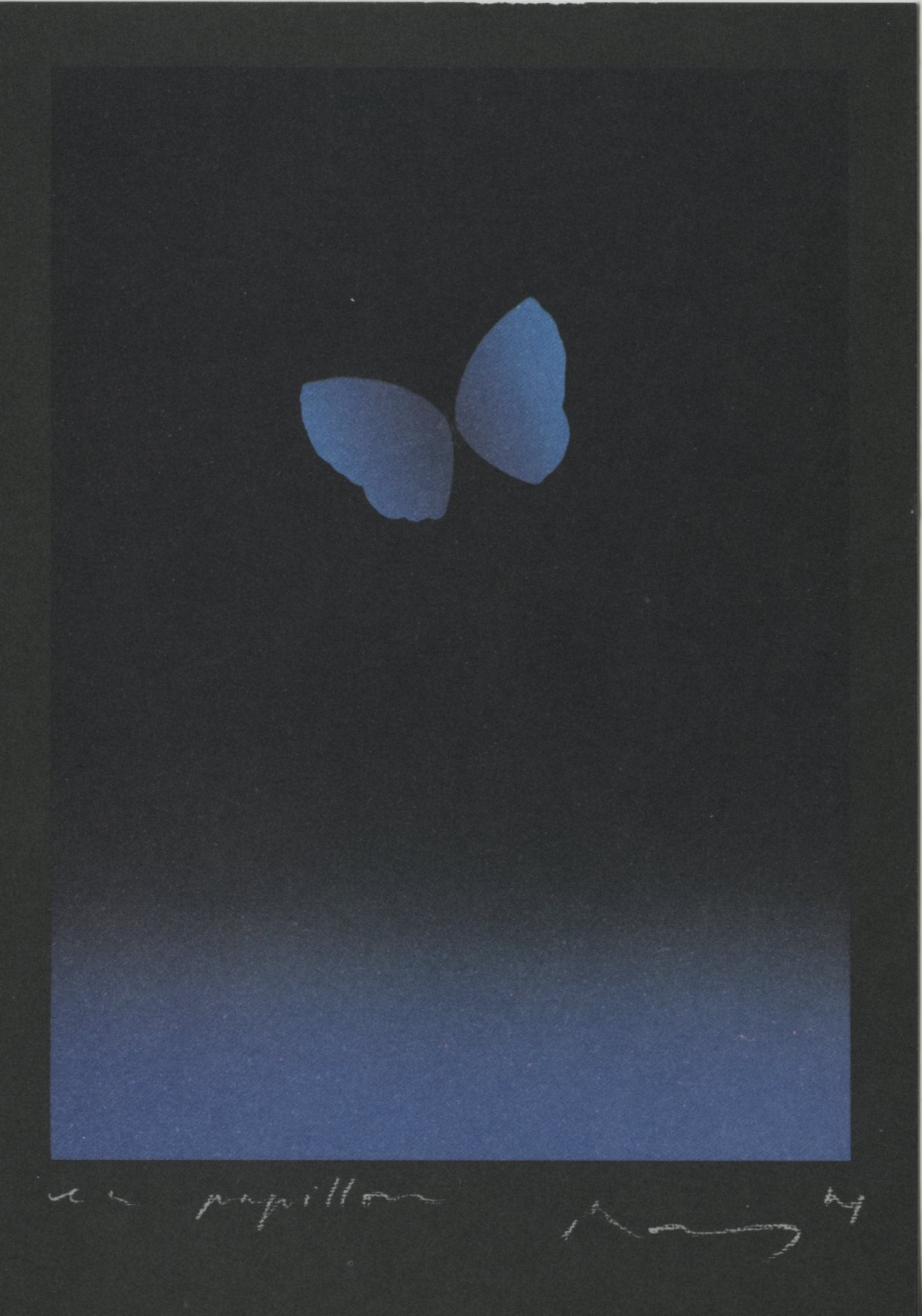 Papillon by Kozo - 4 X 6 Inches (10 Postcards) – Artistica Fine Art