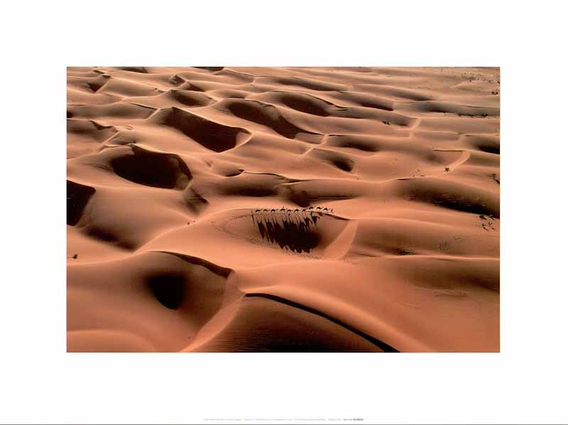 Camel Caravan by Yann Arthus-Bertrand - 12 X 16 Inches (Art Print ...