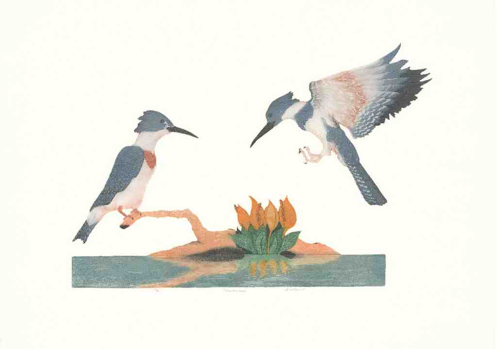 Belted Kingfishers by Laura Nevin - 21 X 30 Inches (Original Etching N ...