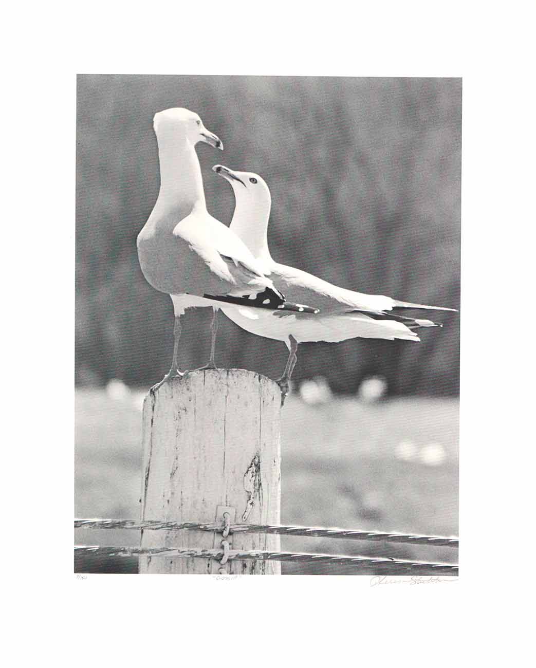 Gossip by Theresa Stubler - 15 X 19 Inches (Lithograph Numbered & Sign ...