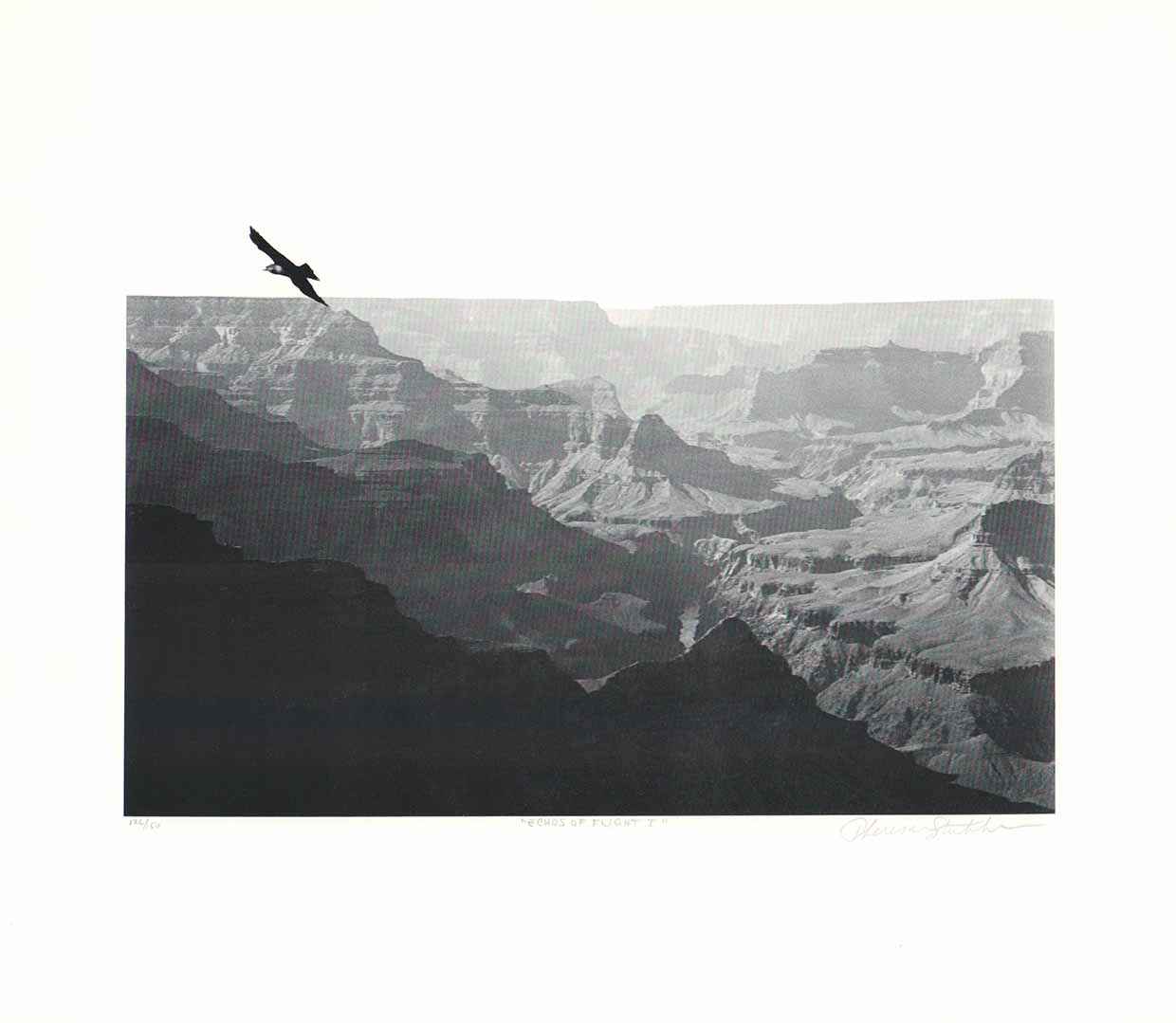 Echos of Flight I by Theresa Stubler - 16 X 18 Inches (Lithograph Numb ...