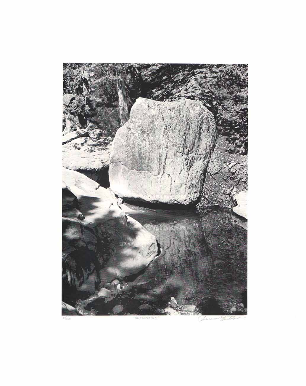 Reflection by Theresa Stubler - 15 X 19 Inches (Lithograph Numbered ...