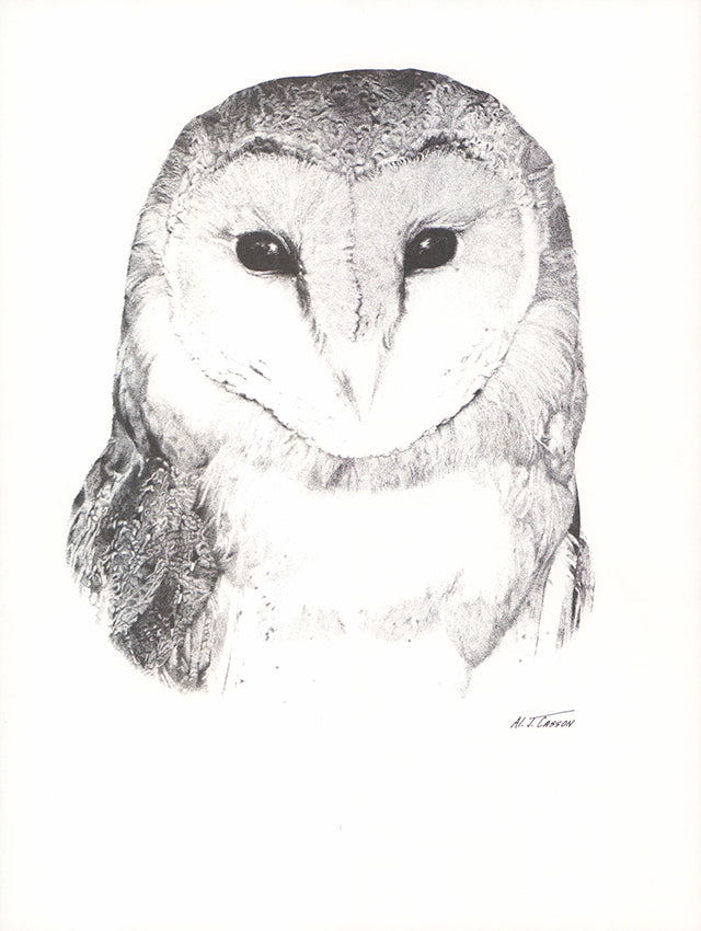 A Portfolio of Canadian Wildlife Prints by A. J. Casson - 9 X 12 Inche ...