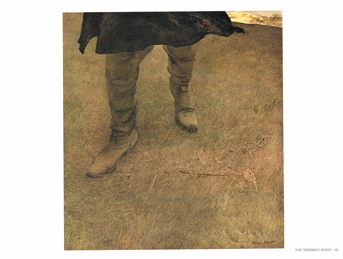 The Trodden Weed by Andrew Wyeth - 13 X 17 Inches (Art Print ...