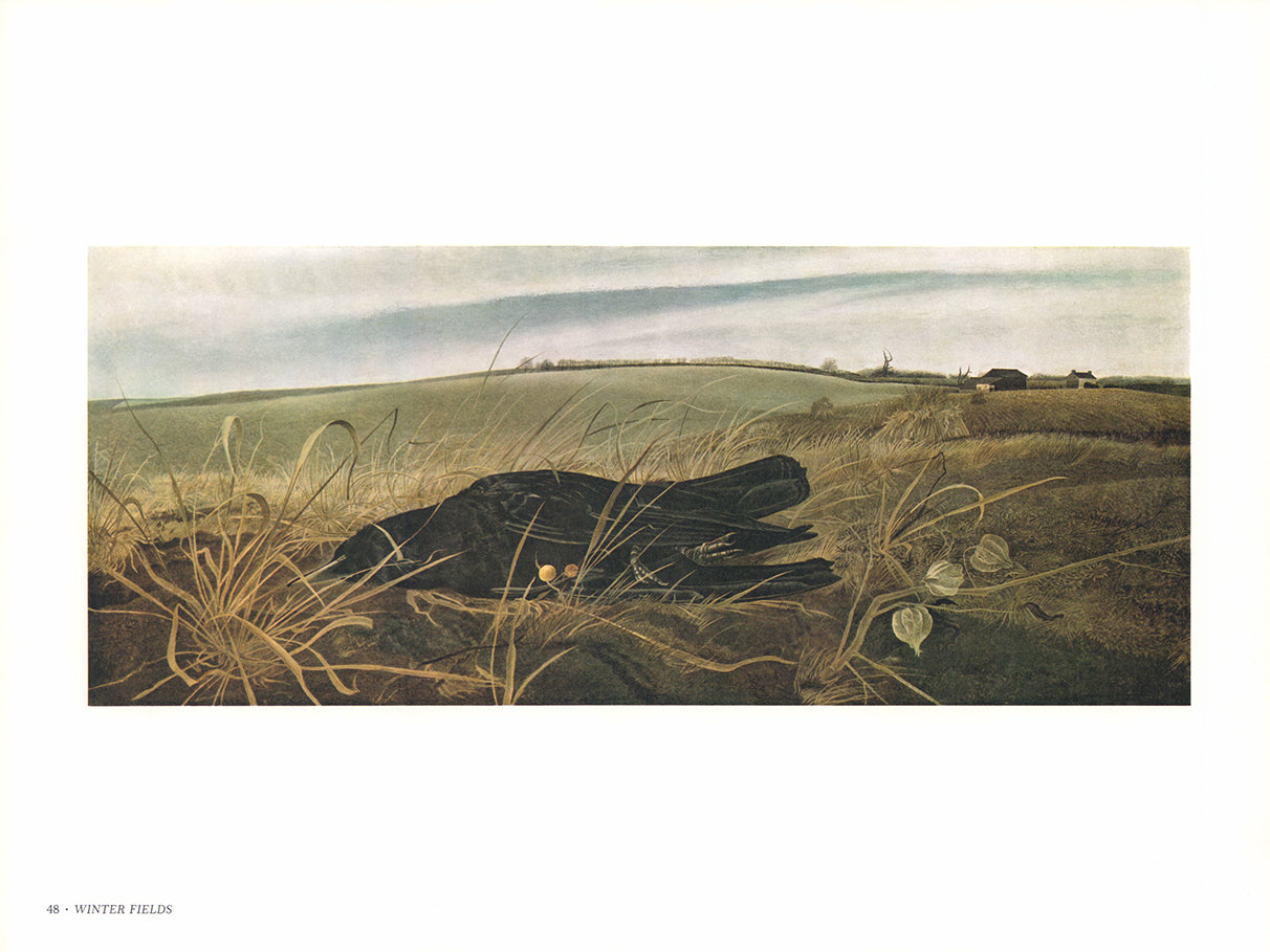 Winter Fields 1942 by Andrew Wyeth - 13 X 17 Inches (Art Print ...