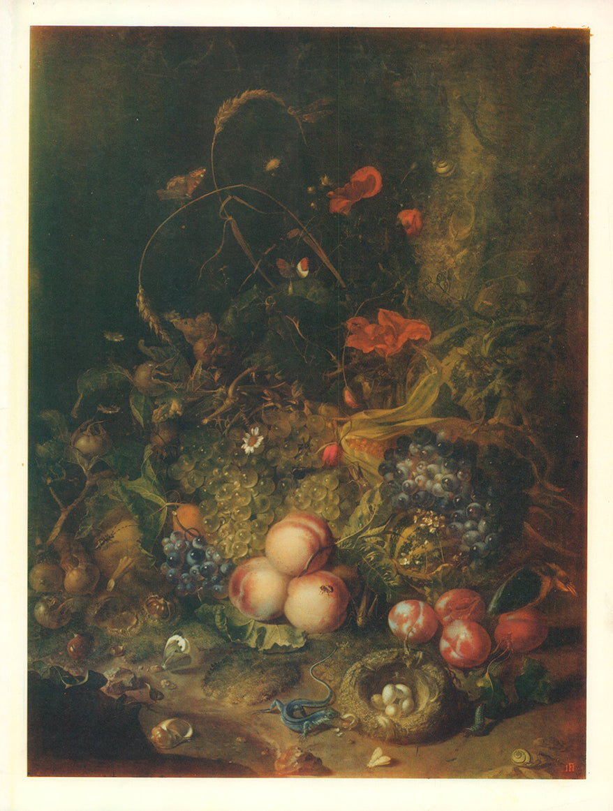 Fruits, Flowers and Various Insect by Ruysch Rachele - 11 X 14 Inches ...
