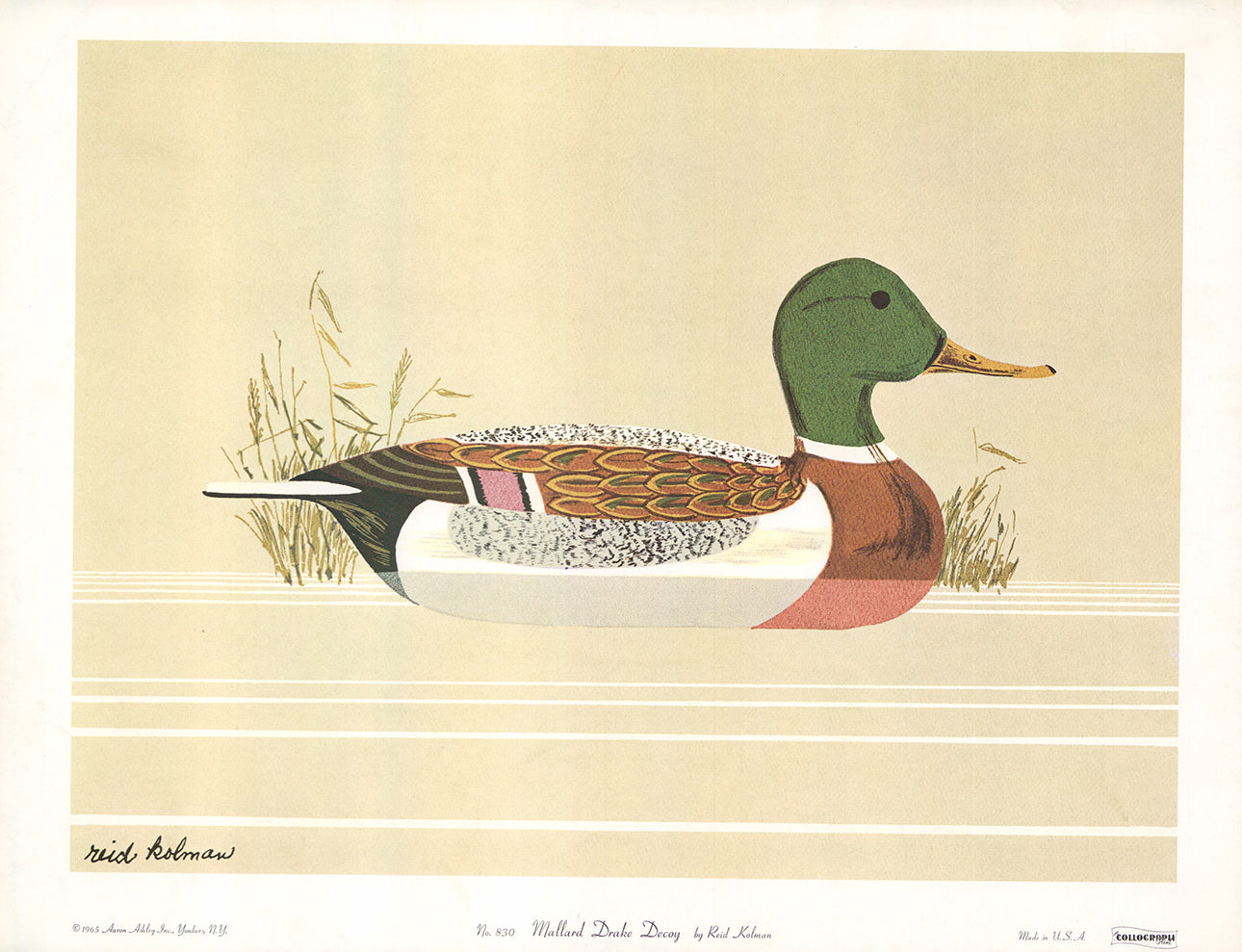 Mallard Drake Decoy by Reid Kolman - 14 X 18 Inches (Art Print ...