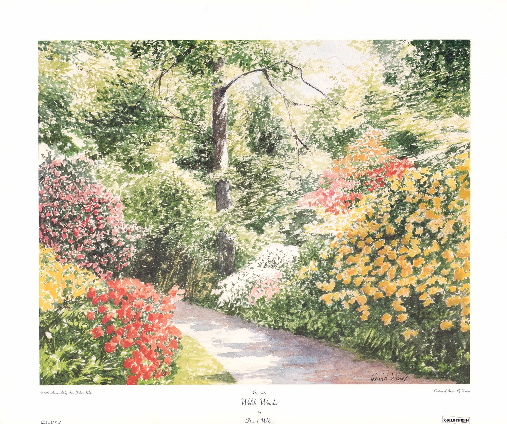 Welsh Wonder by David Wilcox - 20 X 24 Inches (Art Print) – Artistica ...