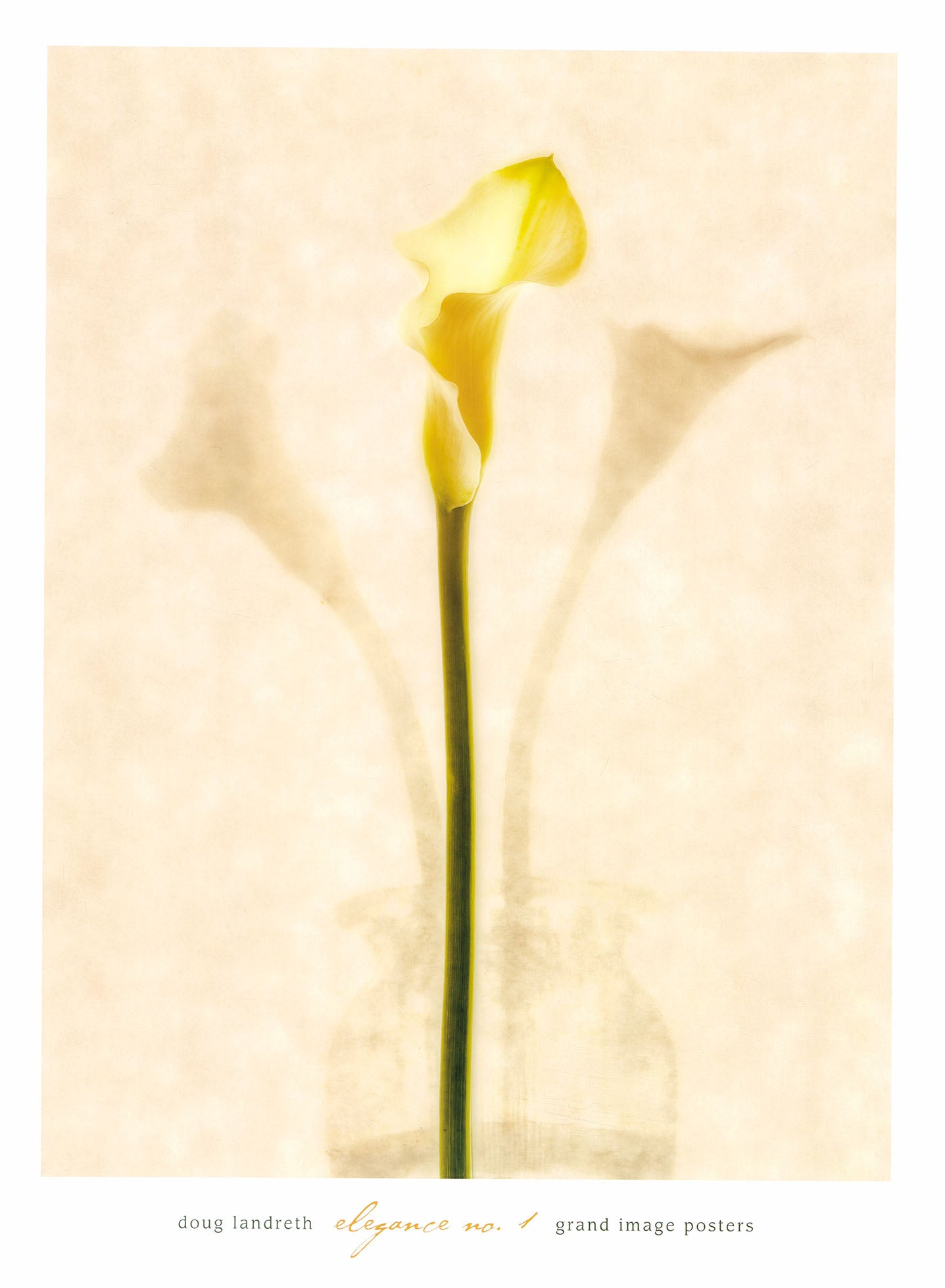 Elegance #1 by Doug Landreth - 20 X 27 Inches (Art Print) – Artistica ...