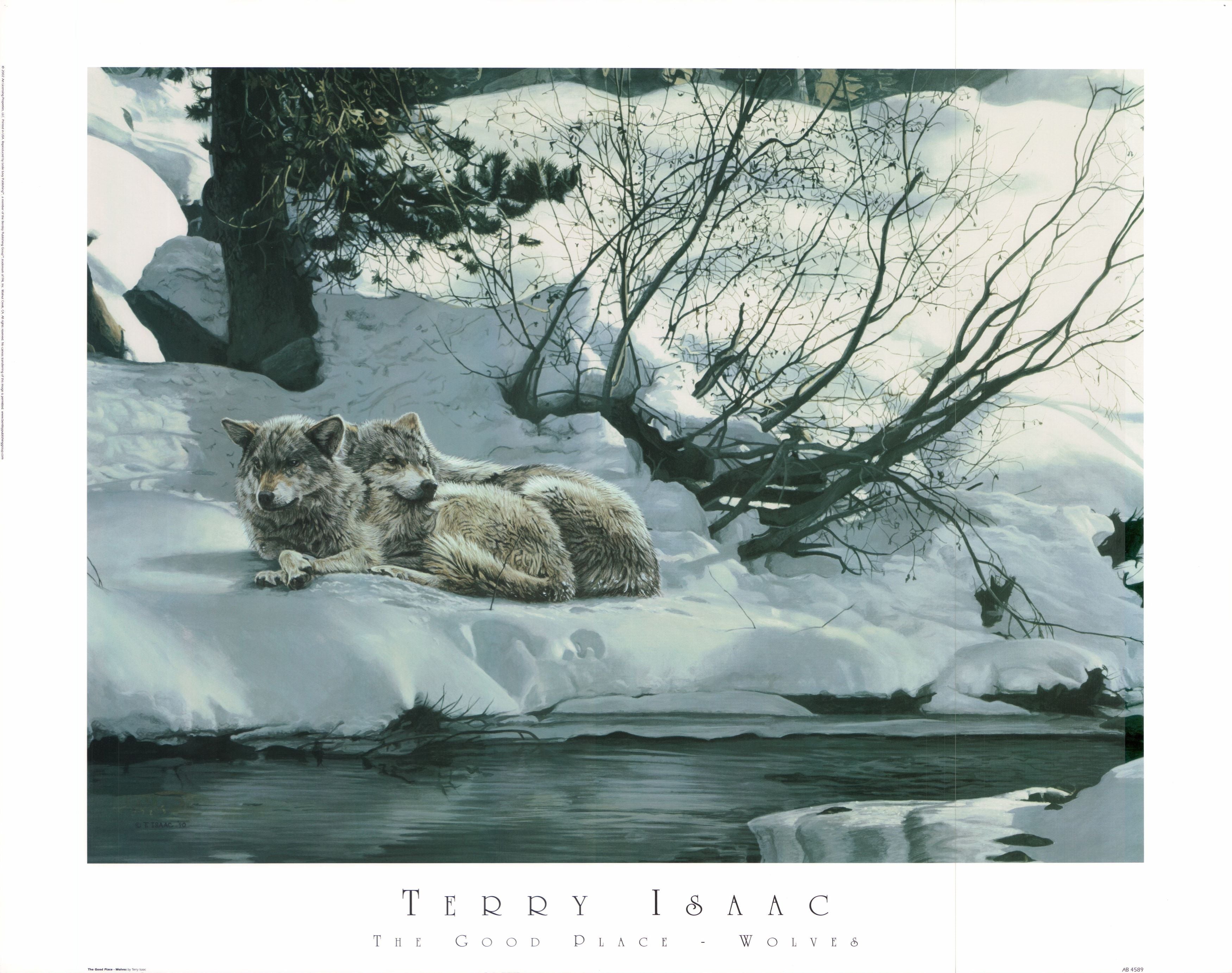 The Good Place Wolves by Terry Isaac - 22 X 28 Inches (Art Print ...