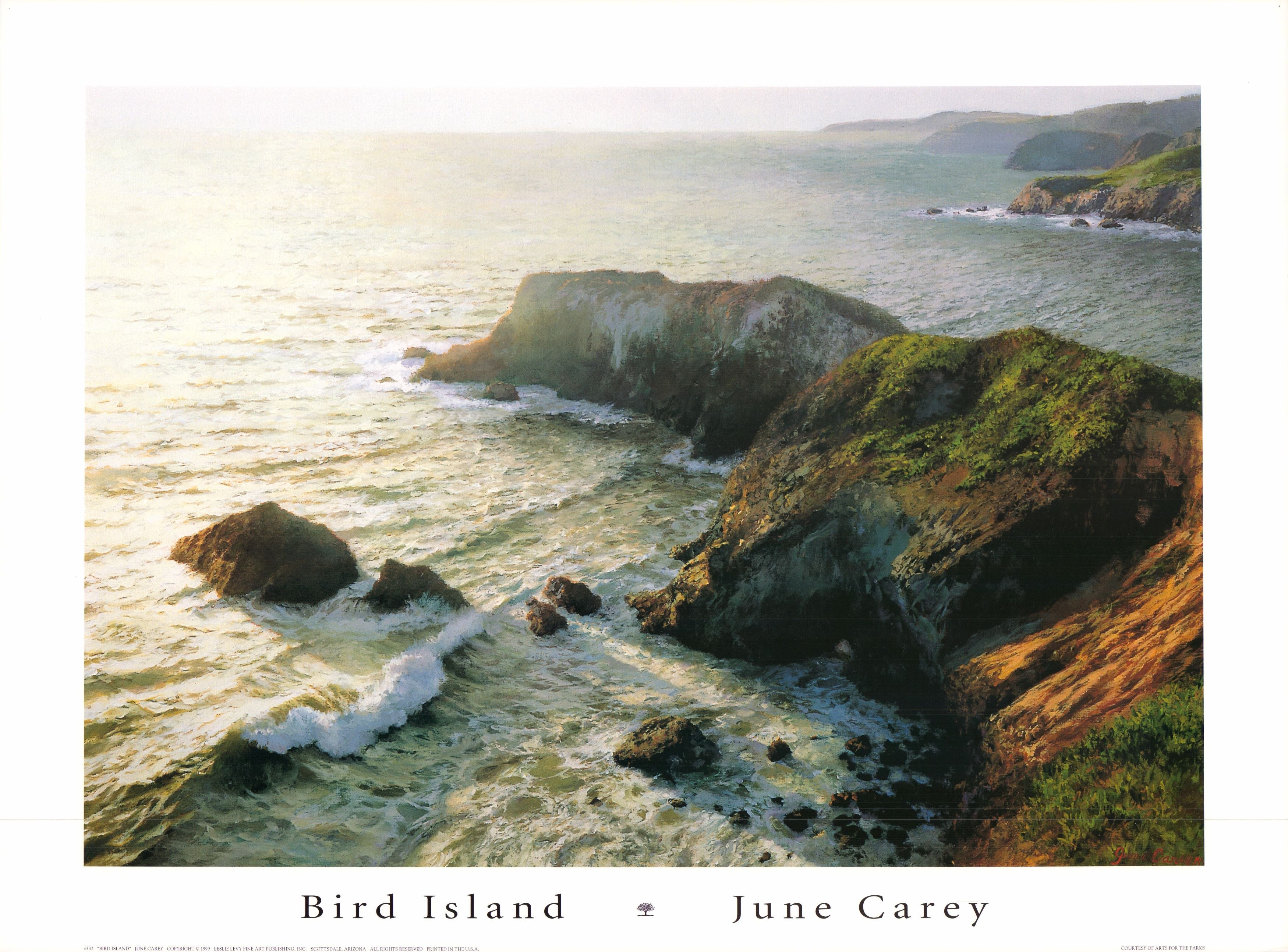 Bird Island, 1999 by June Carey - 22 X 30 Inches (Art Print ...
