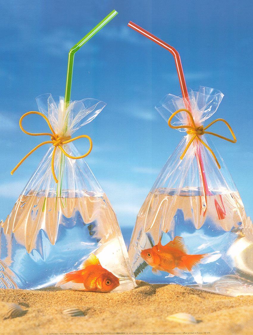 Bags of Fish by G. Larmuseau - 12 X 16 Inches (Art Print) – Artistica ...