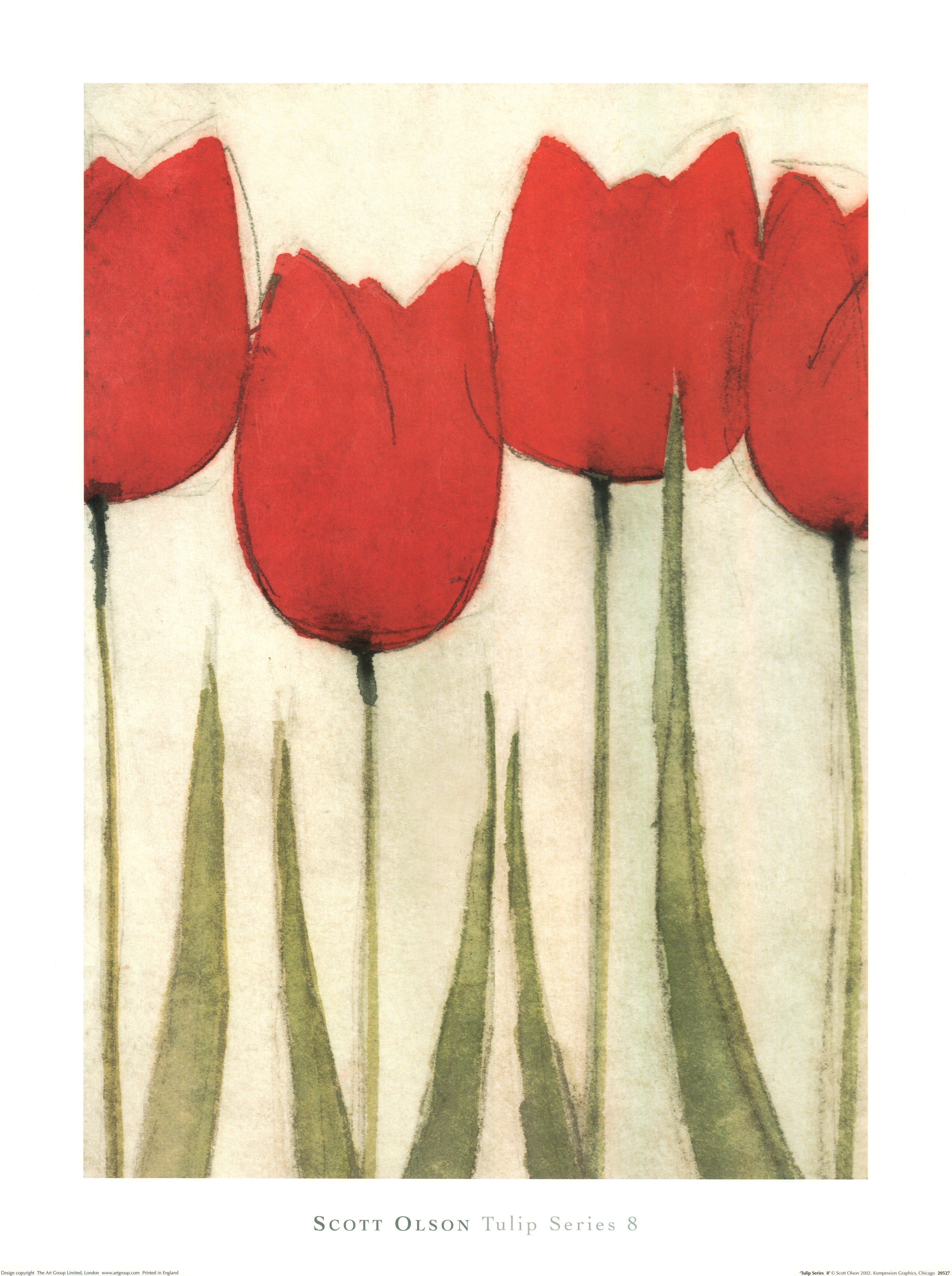 Tulip Series 8 by Scott Olson - 24 X 32 Inches (Art Print) – Artistica ...