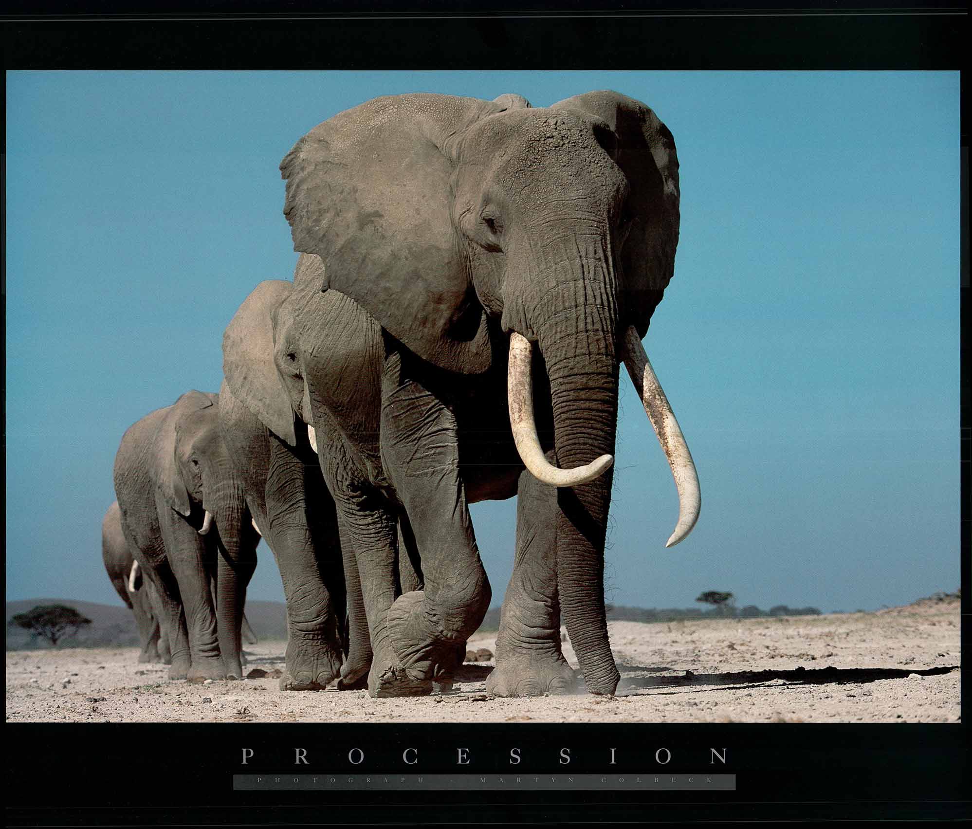 Procession by Martyn Colbeck - 24 X 31 Inches (Art Print) – Artistica ...