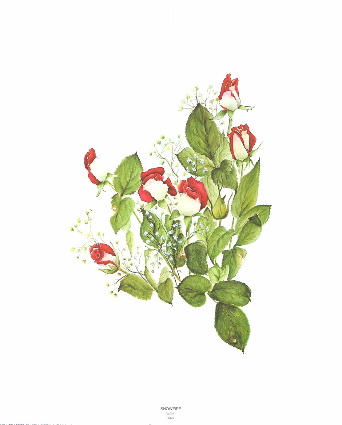 Snowfire by Rozy - 16 X 20 Inches (Offset Lithograph Embossed Fine Art ...