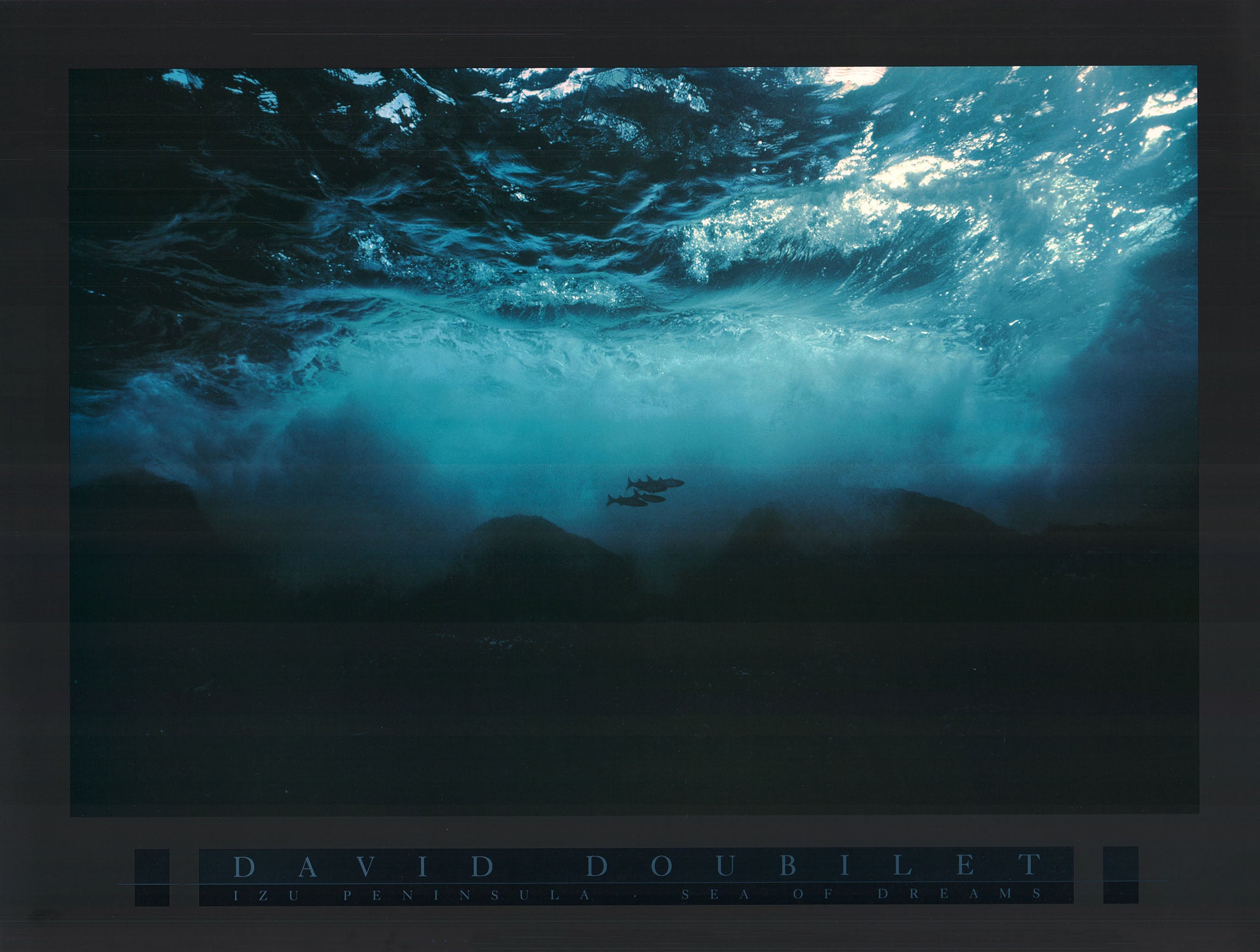 Izu Peninsula Sea of Dreams by David Doubilet - 24 X 32 Inches (Art Pr ...