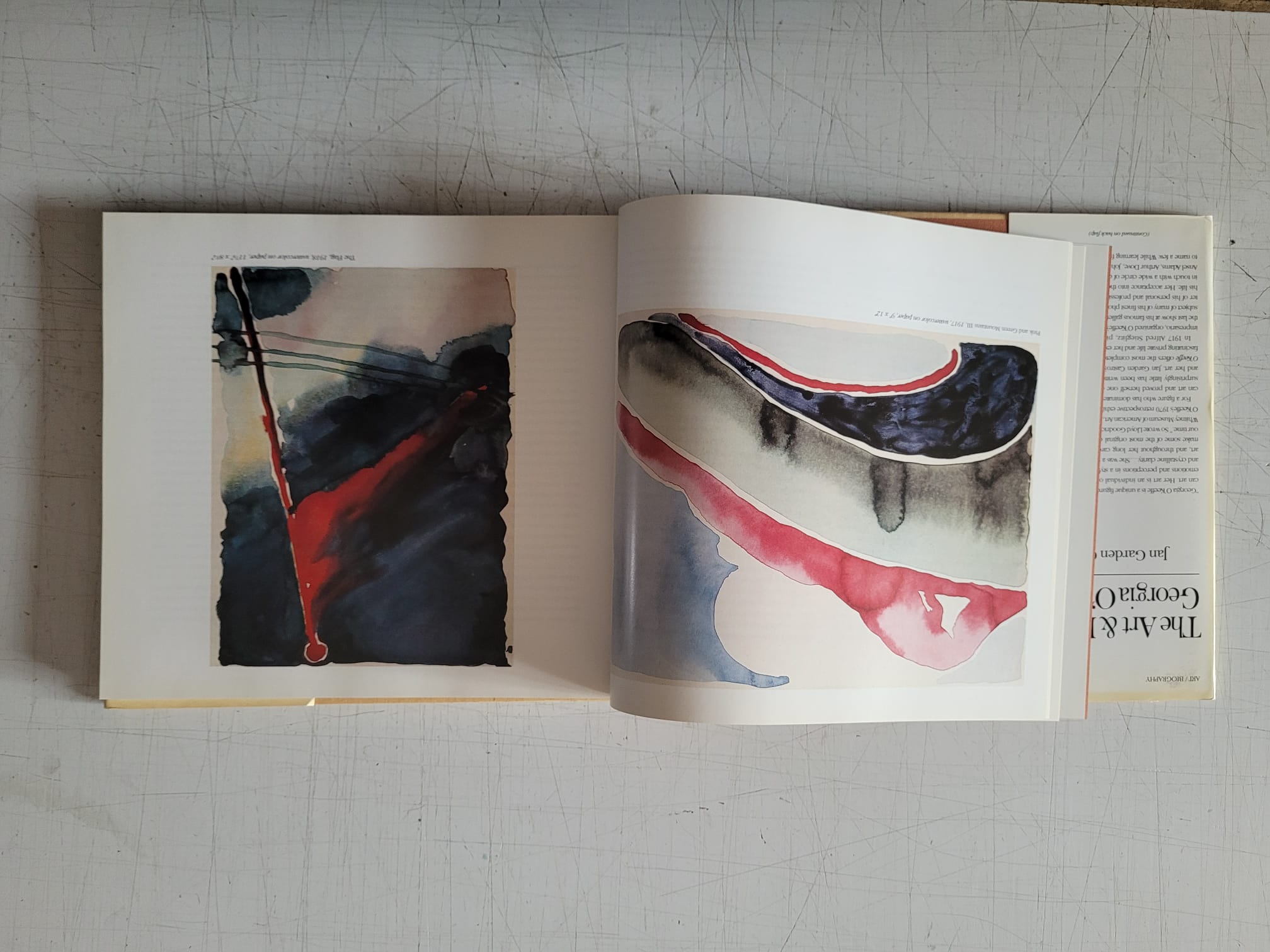 The Art & Life of Georgia O’Keeffe by Jan Garden Castro (Vintage Hardc ...