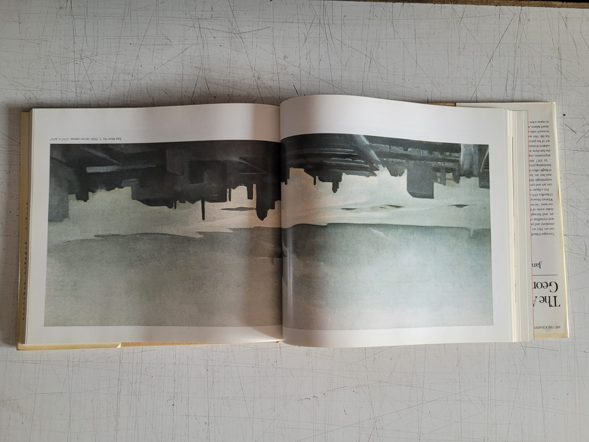 L’art et la vie de Georgia O’Keeffe de Jan Garden Castro (livre relié ...