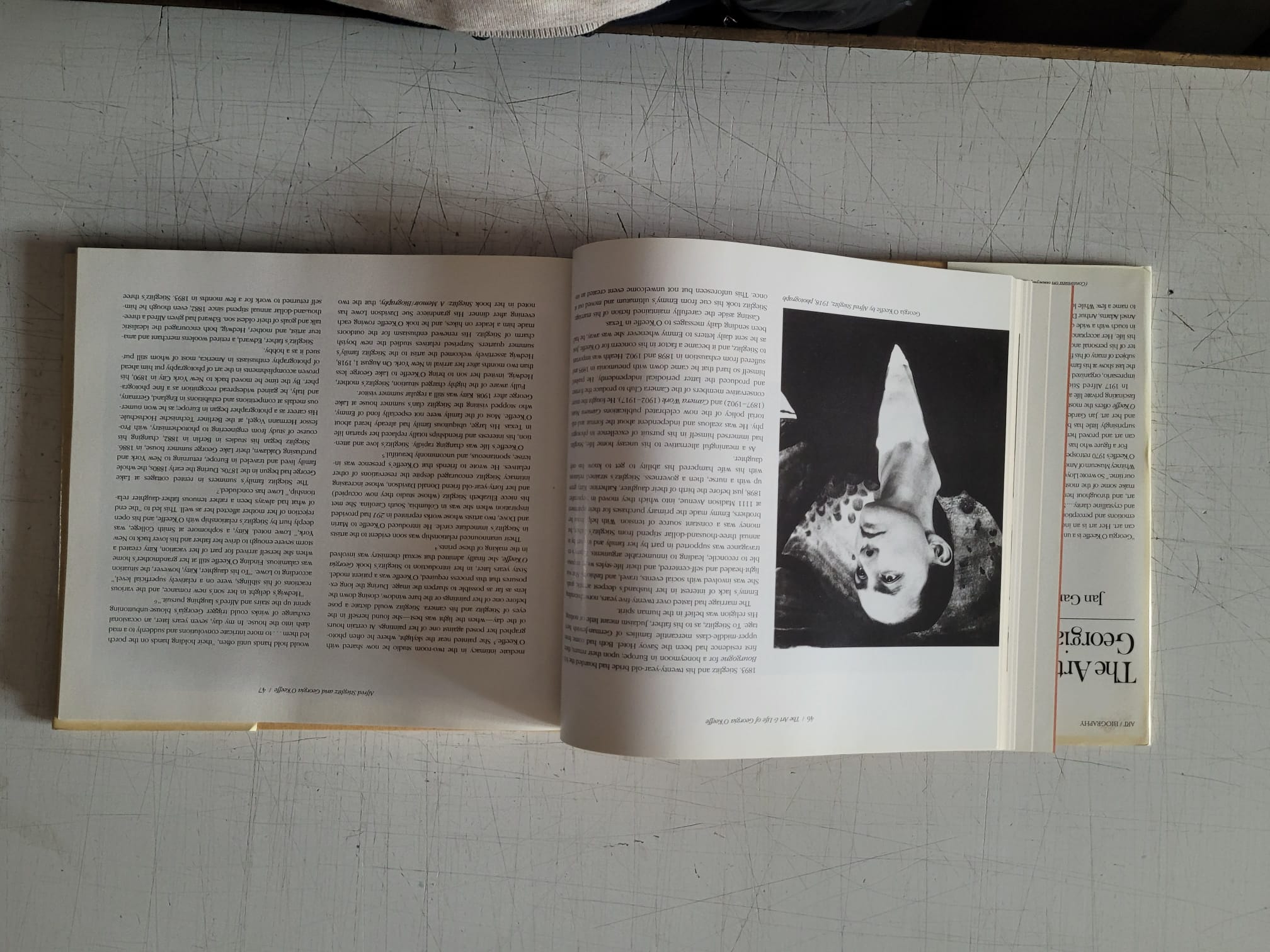 The Art & Life of Georgia O’Keeffe by Jan Garden Castro (Vintage Hardc ...