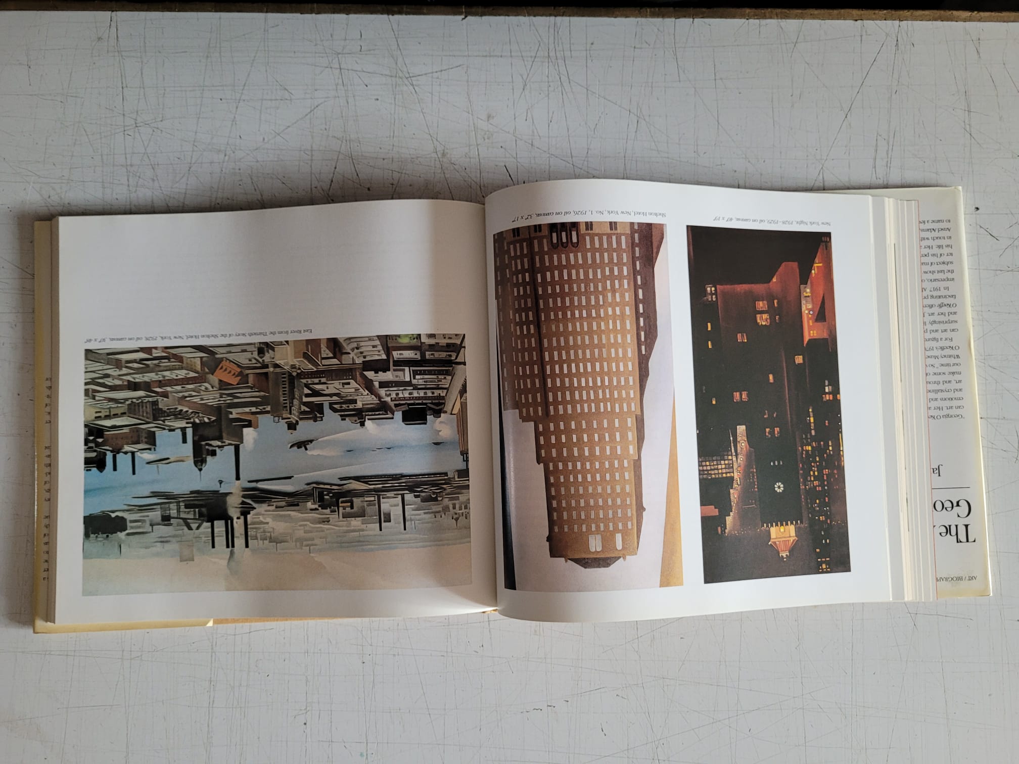 The Art & Life of Georgia O’Keeffe by Jan Garden Castro (Vintage Hardc ...