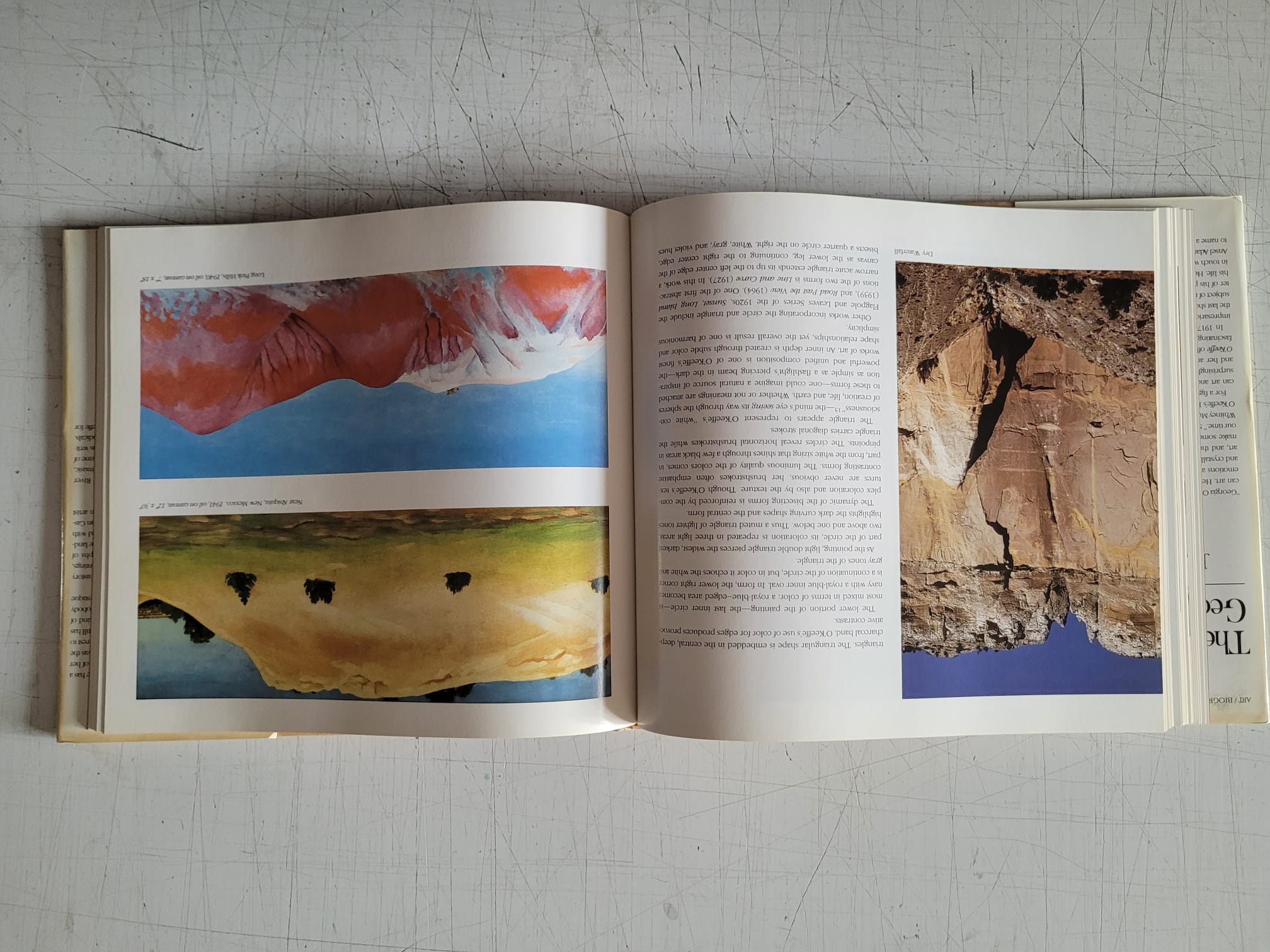 The Art & Life of Georgia O’Keeffe by Jan Garden Castro (Vintage Hardc ...