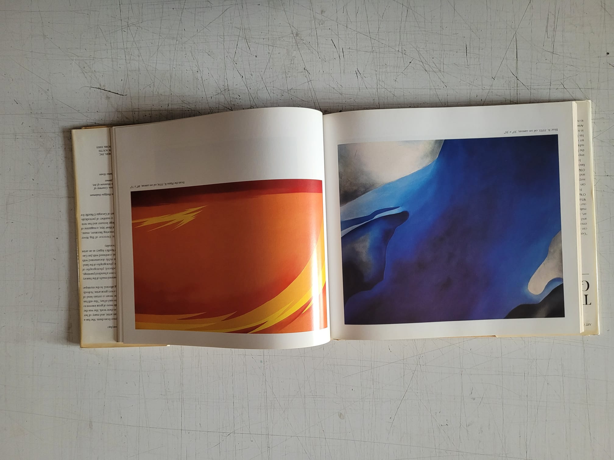 The Art & Life of Georgia O’Keeffe by Jan Garden Castro (Vintage Hardc ...