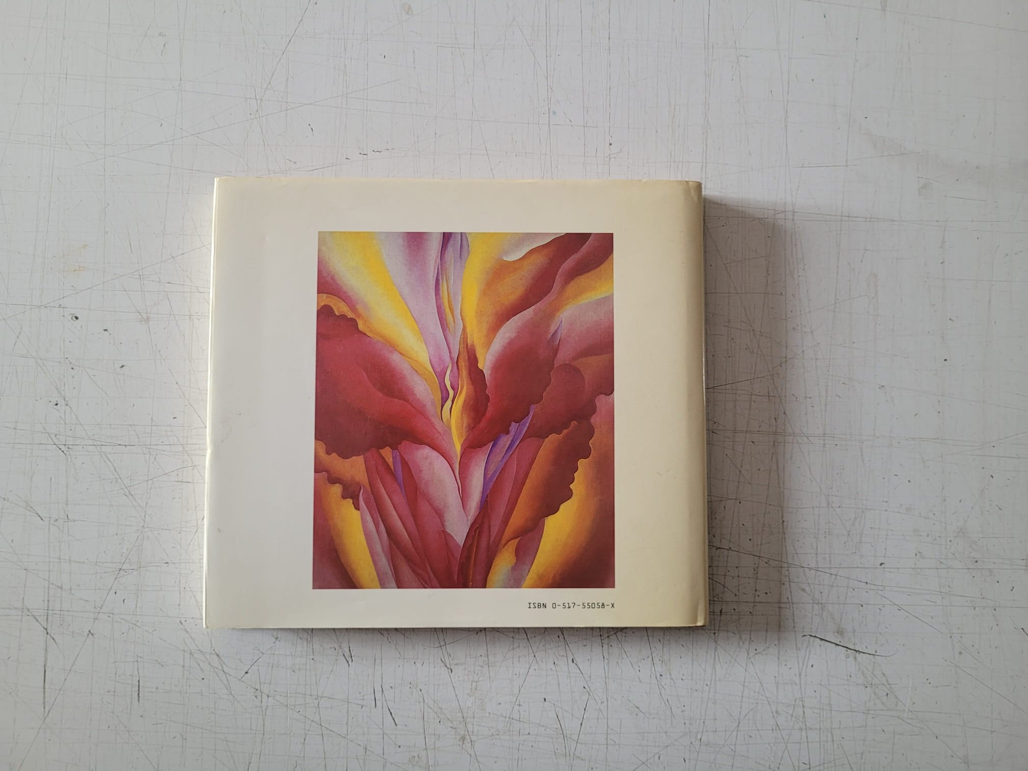 The Art & Life of Georgia O’Keeffe by Jan Garden Castro (Vintage Hardc ...