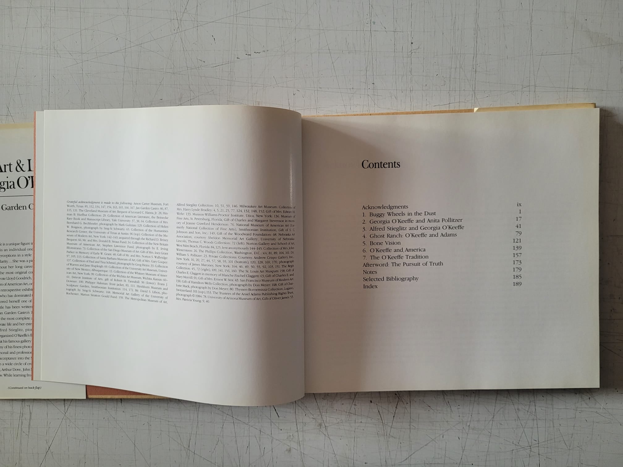 L’art et la vie de Georgia O’Keeffe de Jan Garden Castro (livre relié ...