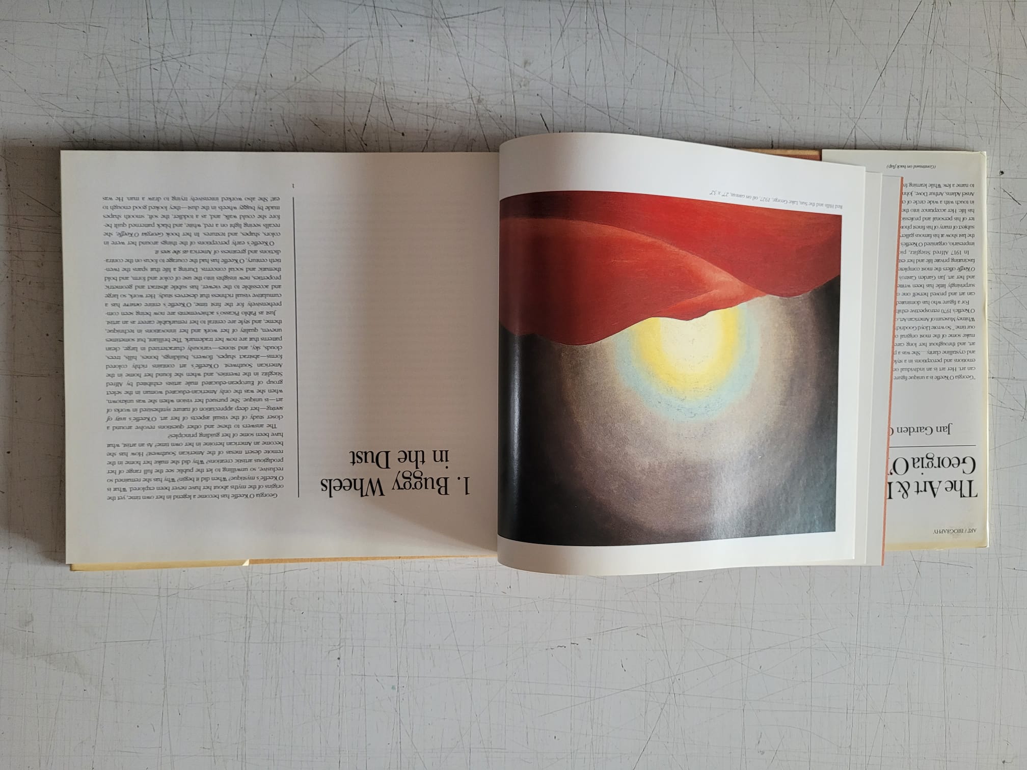 The Art & Life of Georgia O’Keeffe by Jan Garden Castro (Vintage Hardc ...