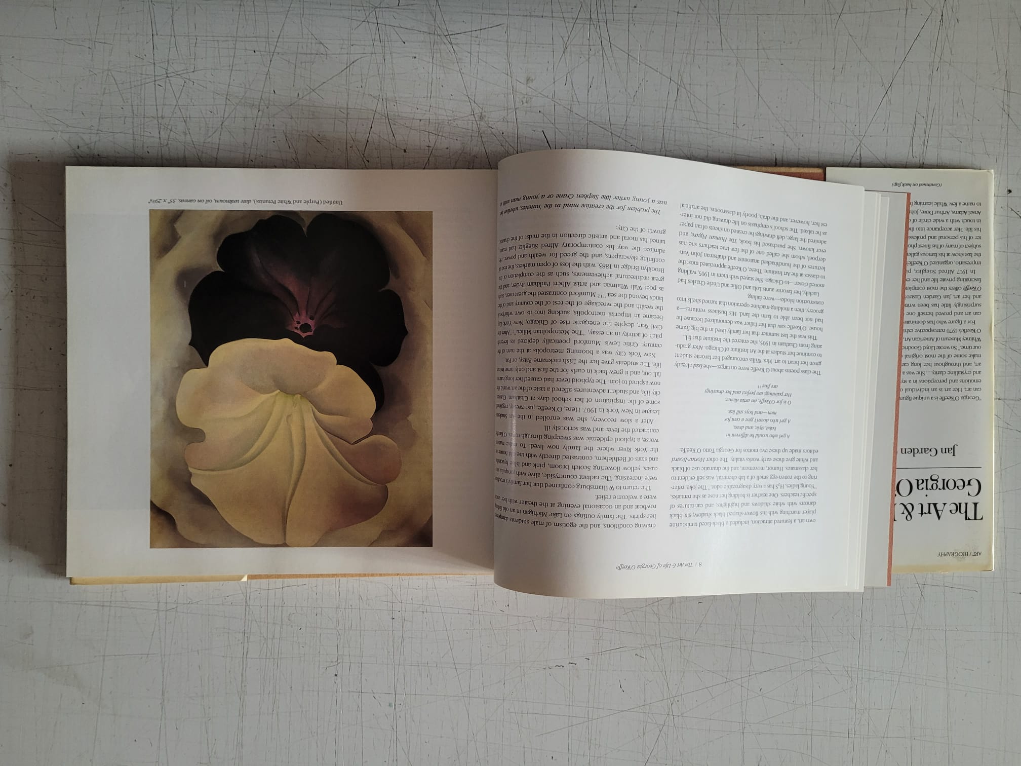 L’art et la vie de Georgia O’Keeffe de Jan Garden Castro (livre relié ...
