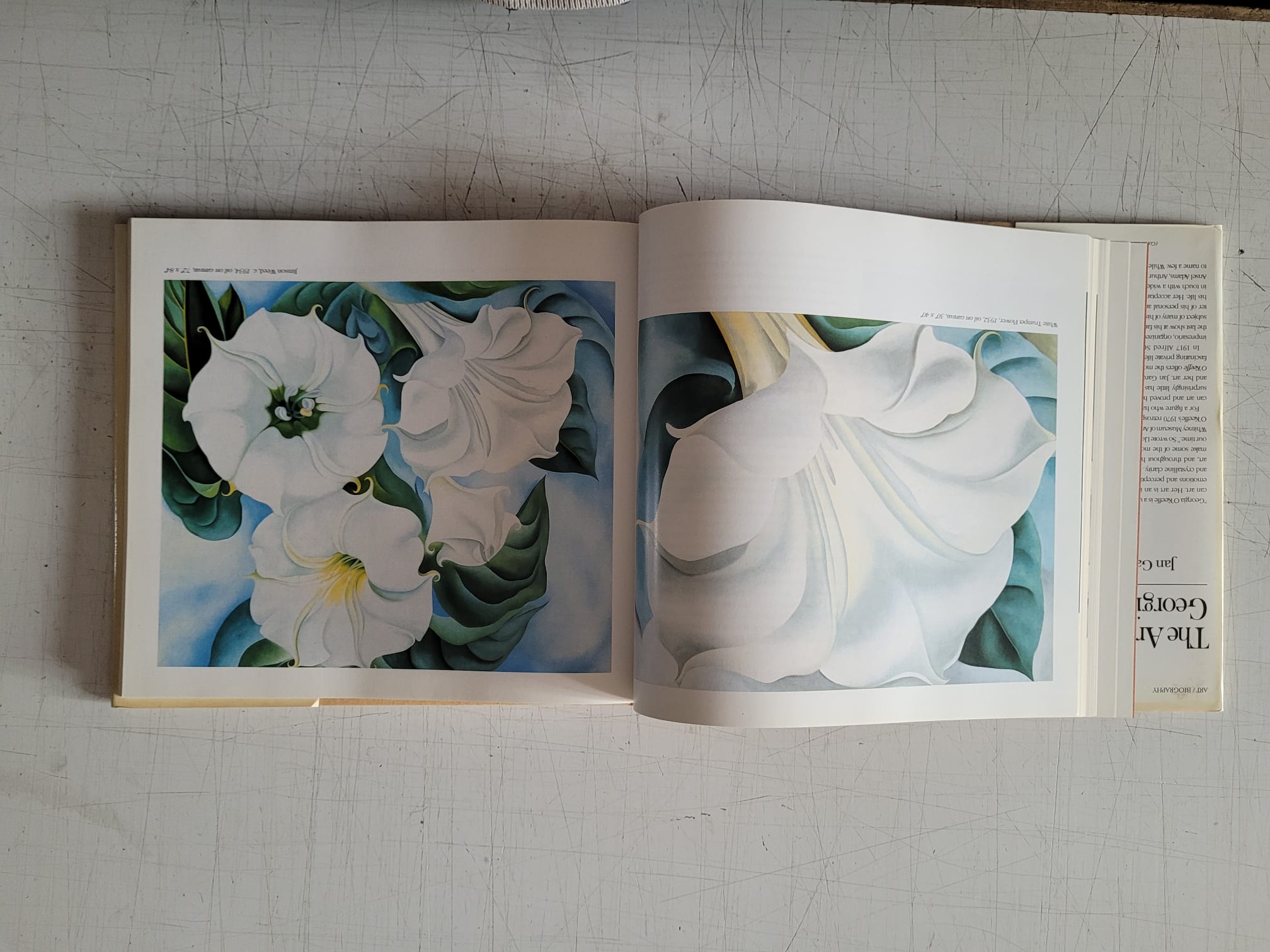 L’art et la vie de Georgia O’Keeffe de Jan Garden Castro (livre relié ...