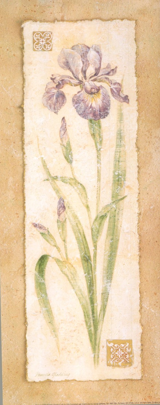 Iris by Pamela Gladding - 8 X 20 Inches (Art Print) – Artistica Fine Art