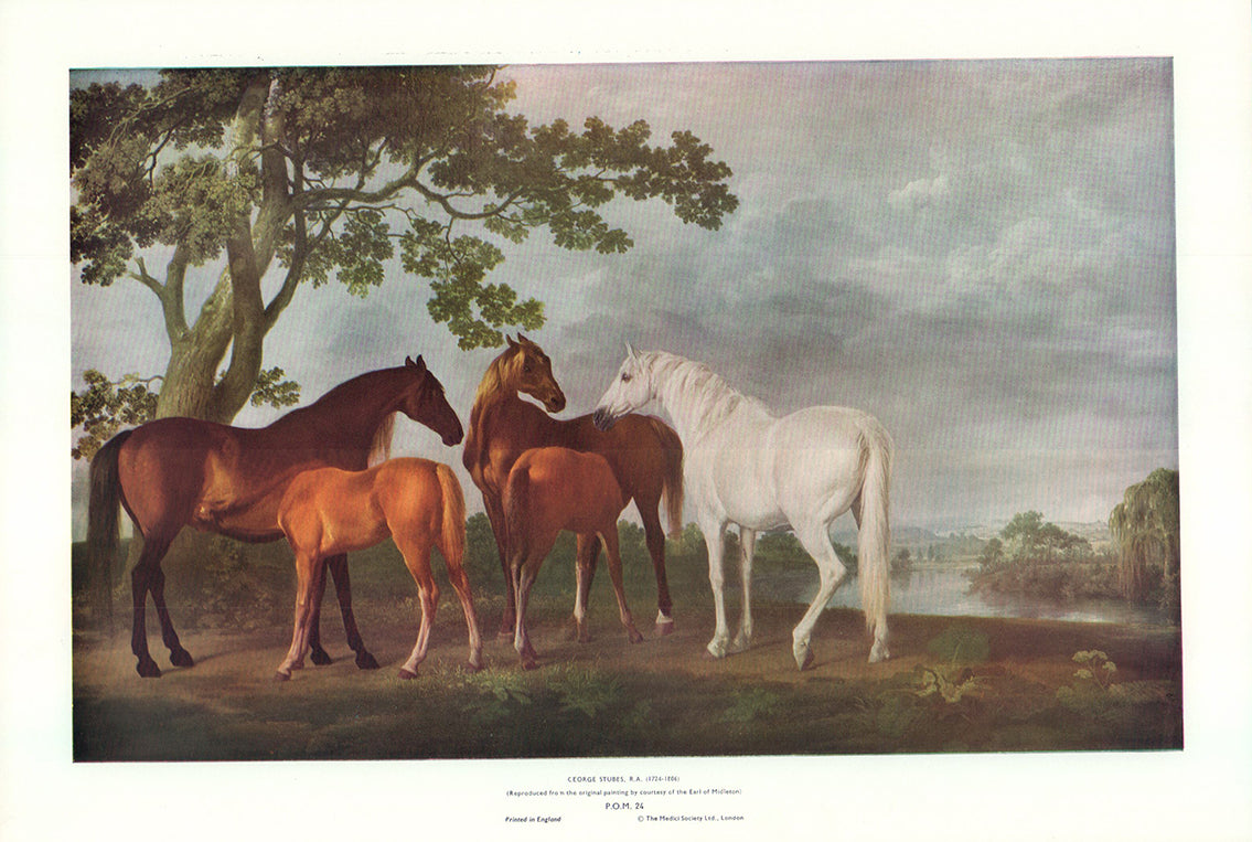 Courtesy of the Earl of Midleton by George Stubbs - 11 X 16 Inches (Of ...