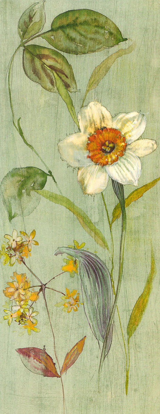 Verdant Daffodil, 2000 by Paul Hargittai - 8 X 20 Inches (Art Print ...