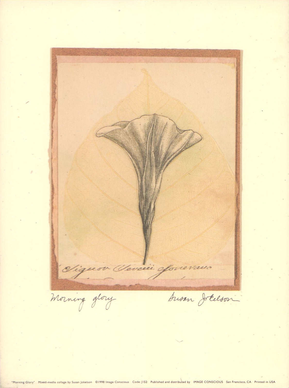 Morning Glory by Susan Jokelson - 6 X 8 Inches (Art Print) – Artistica ...