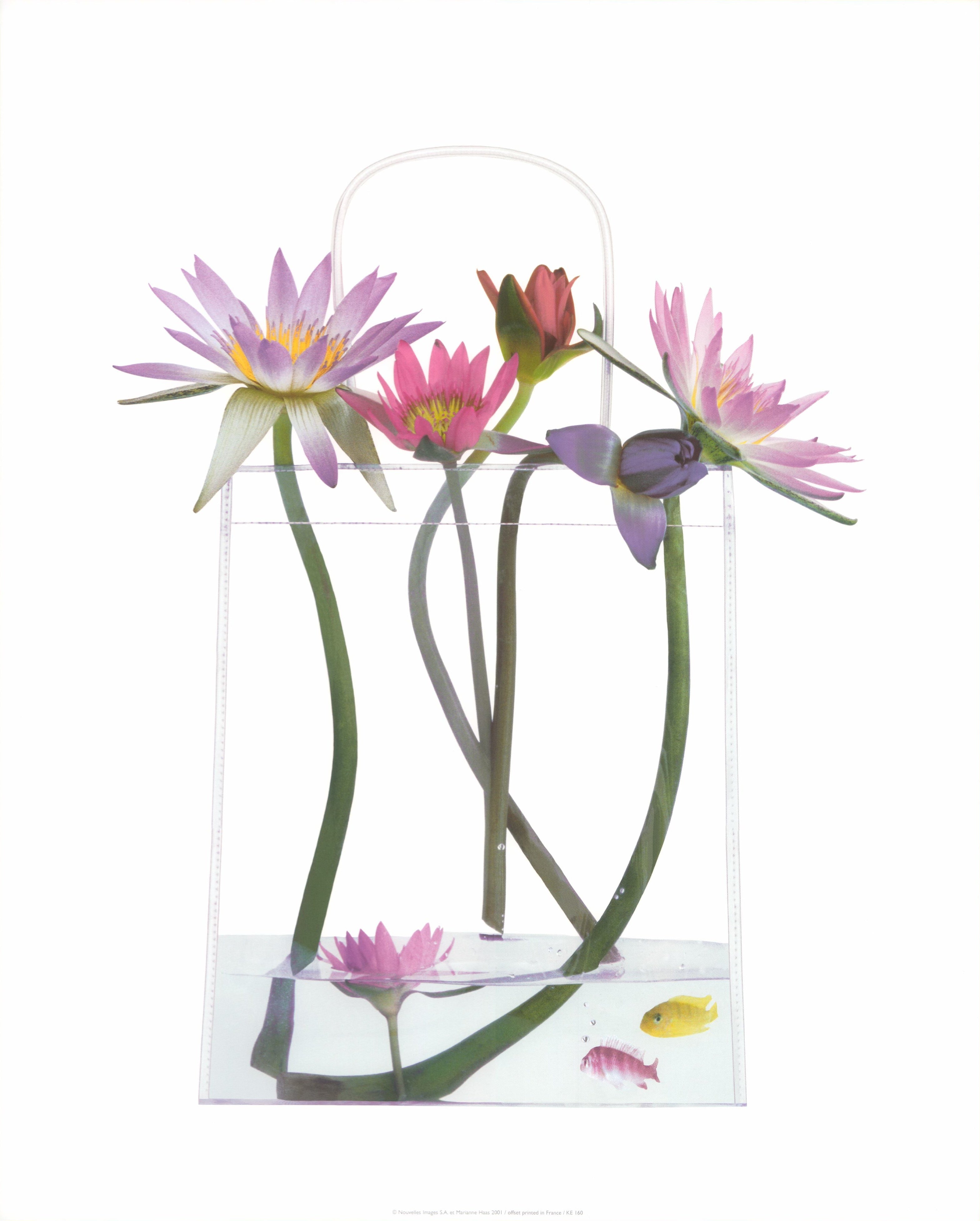 Shopping by the Sea, 2001 by Marianne Haas - 16 X 20 Inches (Art Print ...