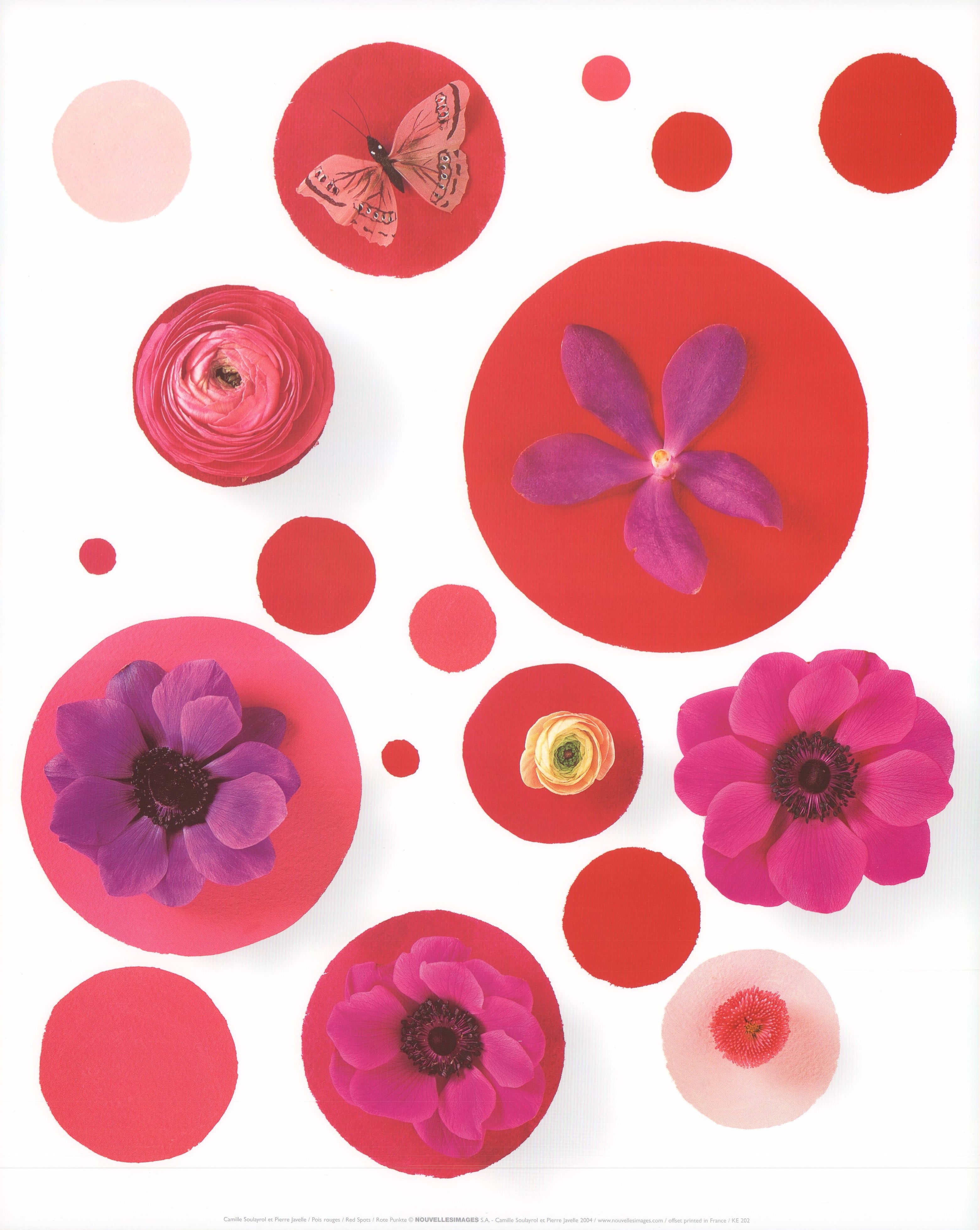 Red Spots by Camille Soulayrol and Pierre Javelle - 16 X 20 Inches (Ar ...