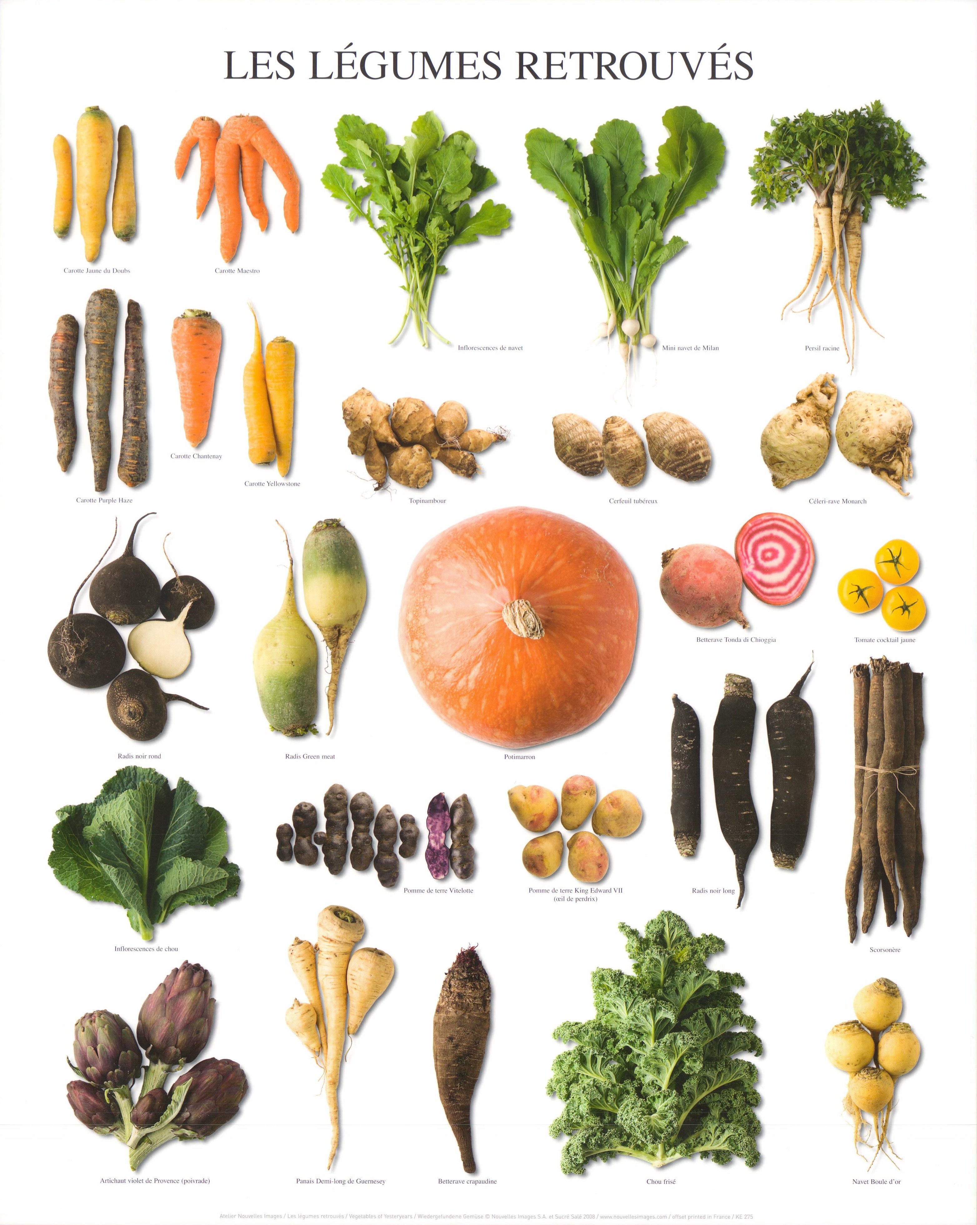 Vegetables of Yesteryears by Atelier Nouvelles Images - 16 X 20 Inches ...