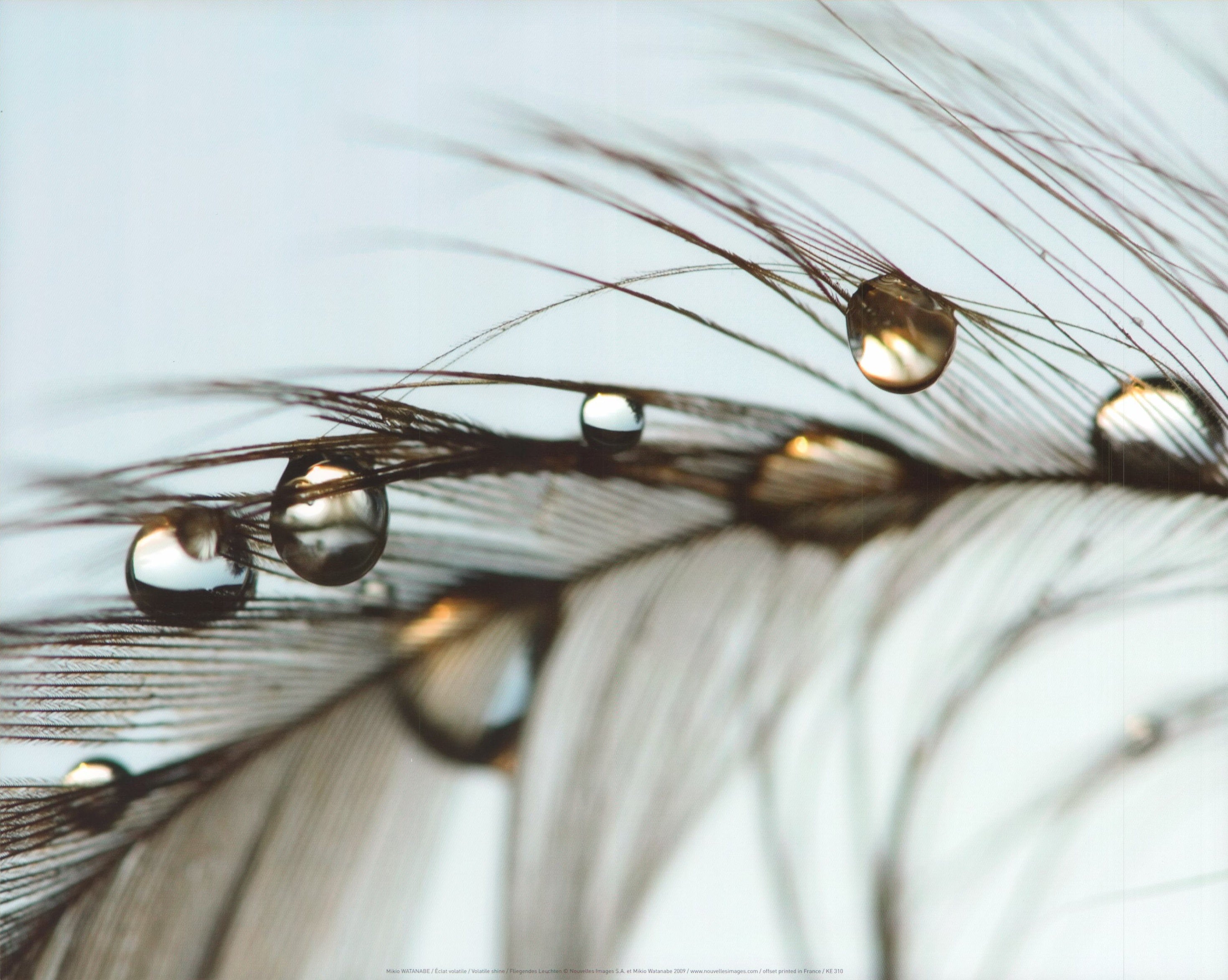 Volatile Shine by Mikio Watanabe - 16 X 20 Inches (Art Print ...