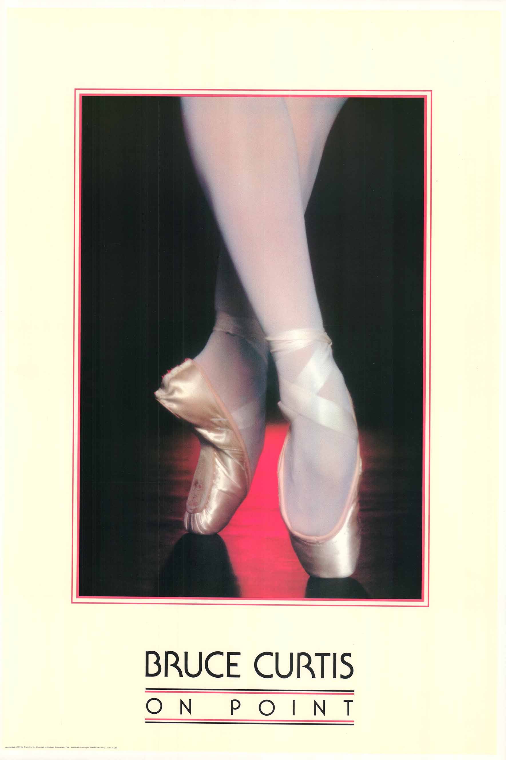 On Point by Bruce Curtis - 25 X 37 Inches (Offset Lithograph ...