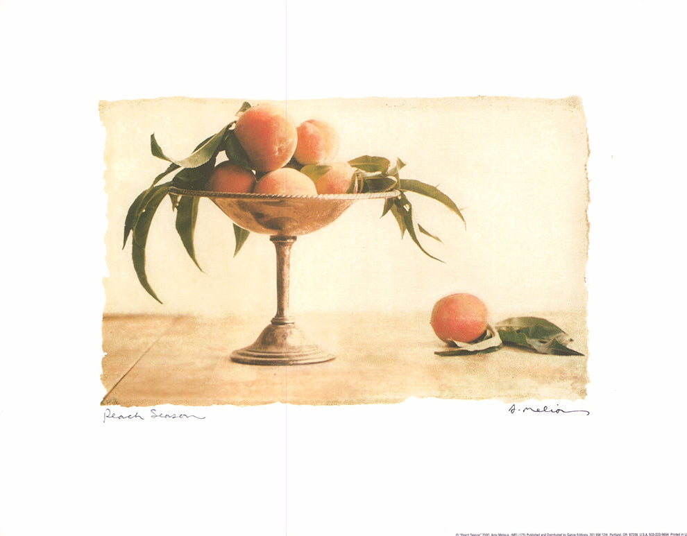 Peach Season, 2000 by Amy Melious - 11 X 14 Inches (Art Print ...
