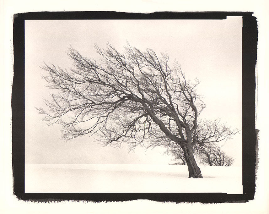 Rainy day, Monhegan lsl. MA, June 1985 by Jean-Paul Rohner -10 X 12 ...