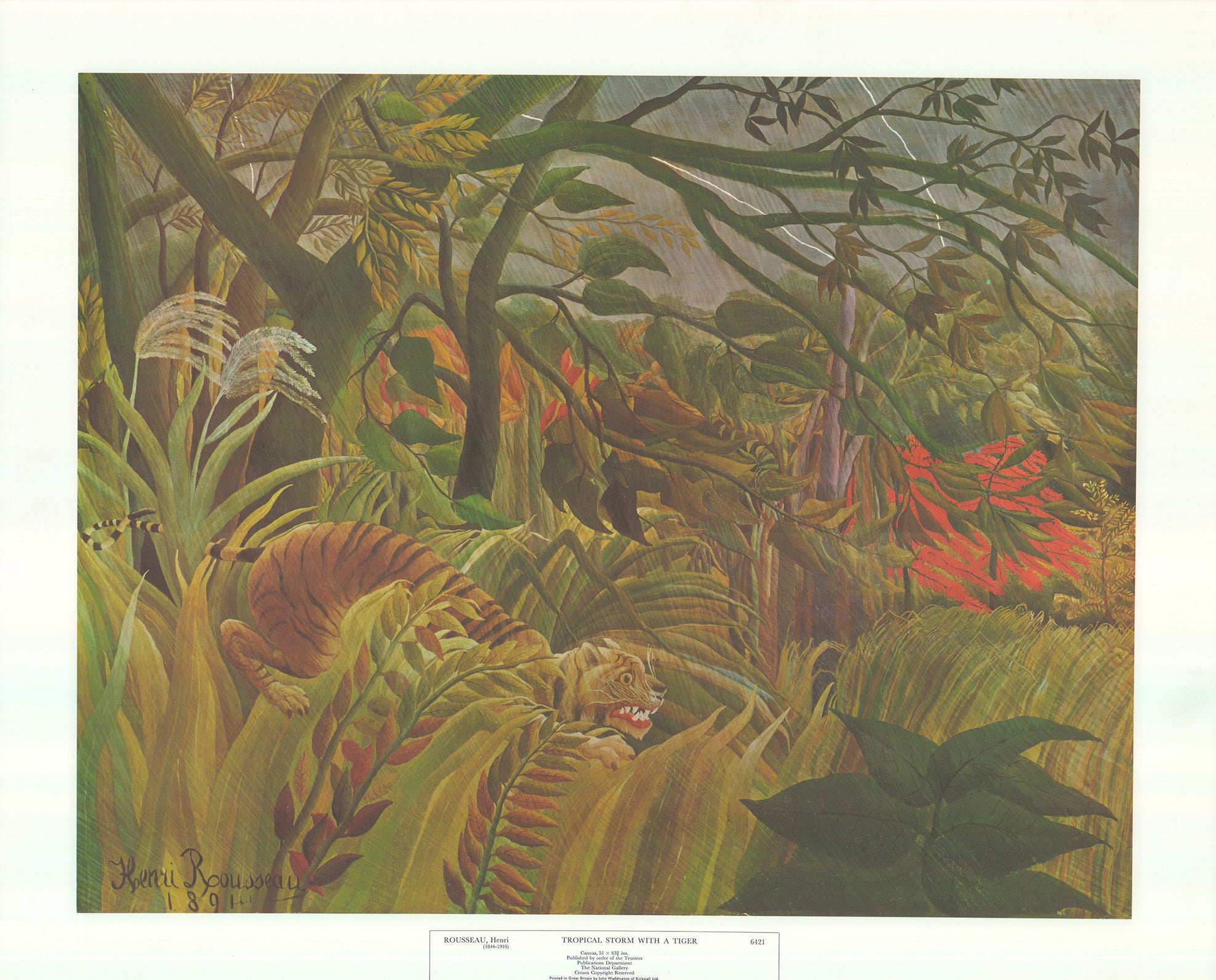 Tropical Storm with a Tiger by Henri Rousseau - 23 X 28 Inches (Offset ...