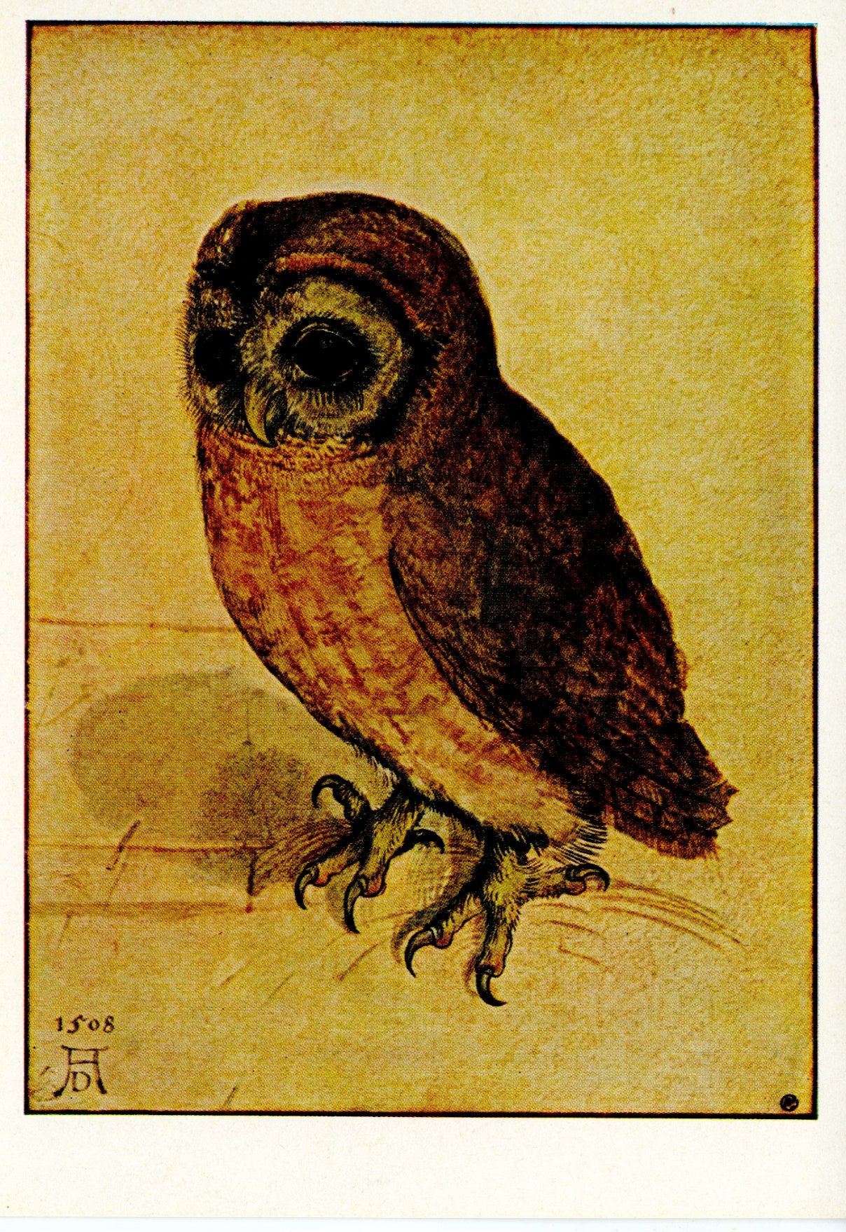 La Petite Chouette by Bruckmanns Bildkarte - 4 X 6 Inches (10 Postcard ...