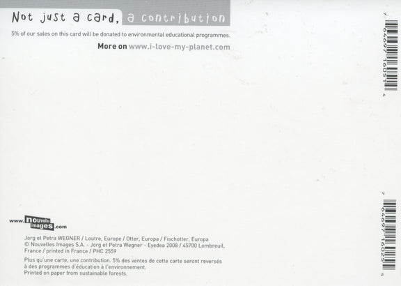 Loutre, Europe by Jorg et Petra Wegner - 4 X 6 Inches (10 Postcards ...