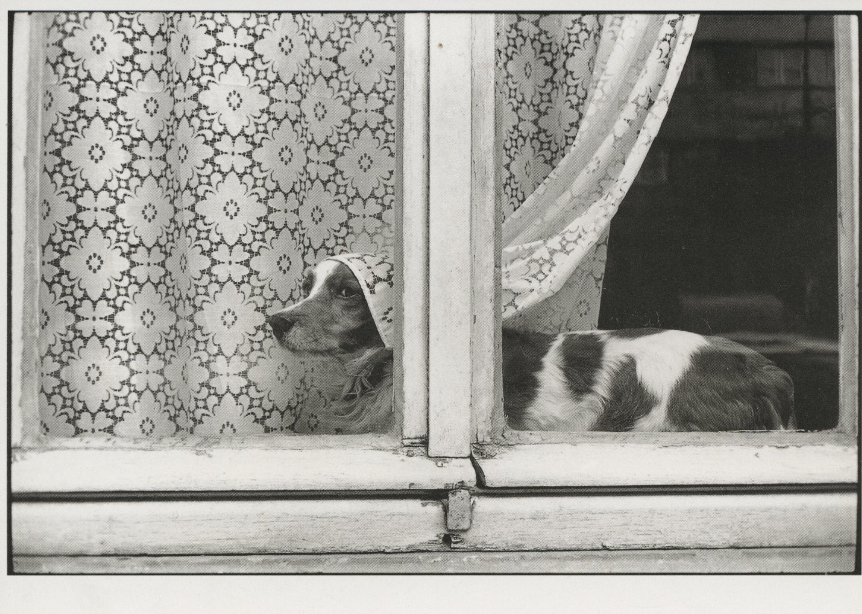 Rue de la Tombe Issoire by Jane Evelyn Atwood - 4 X 6 Inches (10 Postc ...