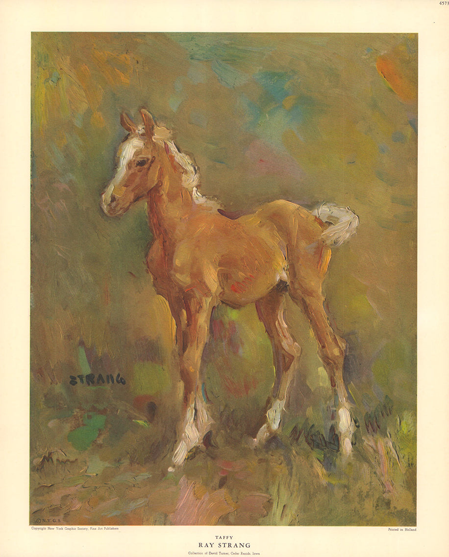 Taffy by Ray Strang - 13 X 16 Inches (Art Print) – Artistica Fine Art