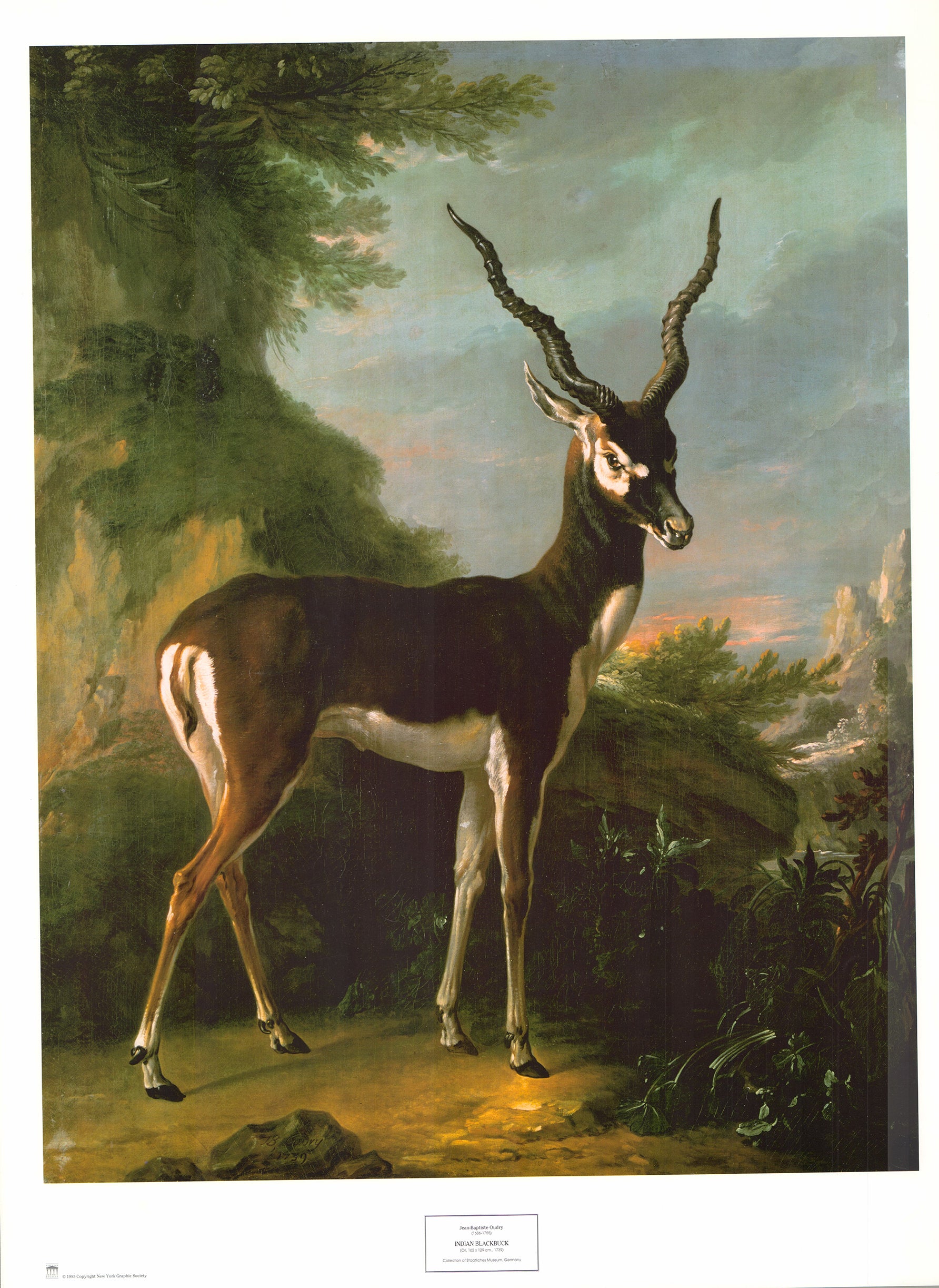 Indian Blackbuck by Jean-Baptiste Oudry - 26 X 35 Inches (Art Print ...