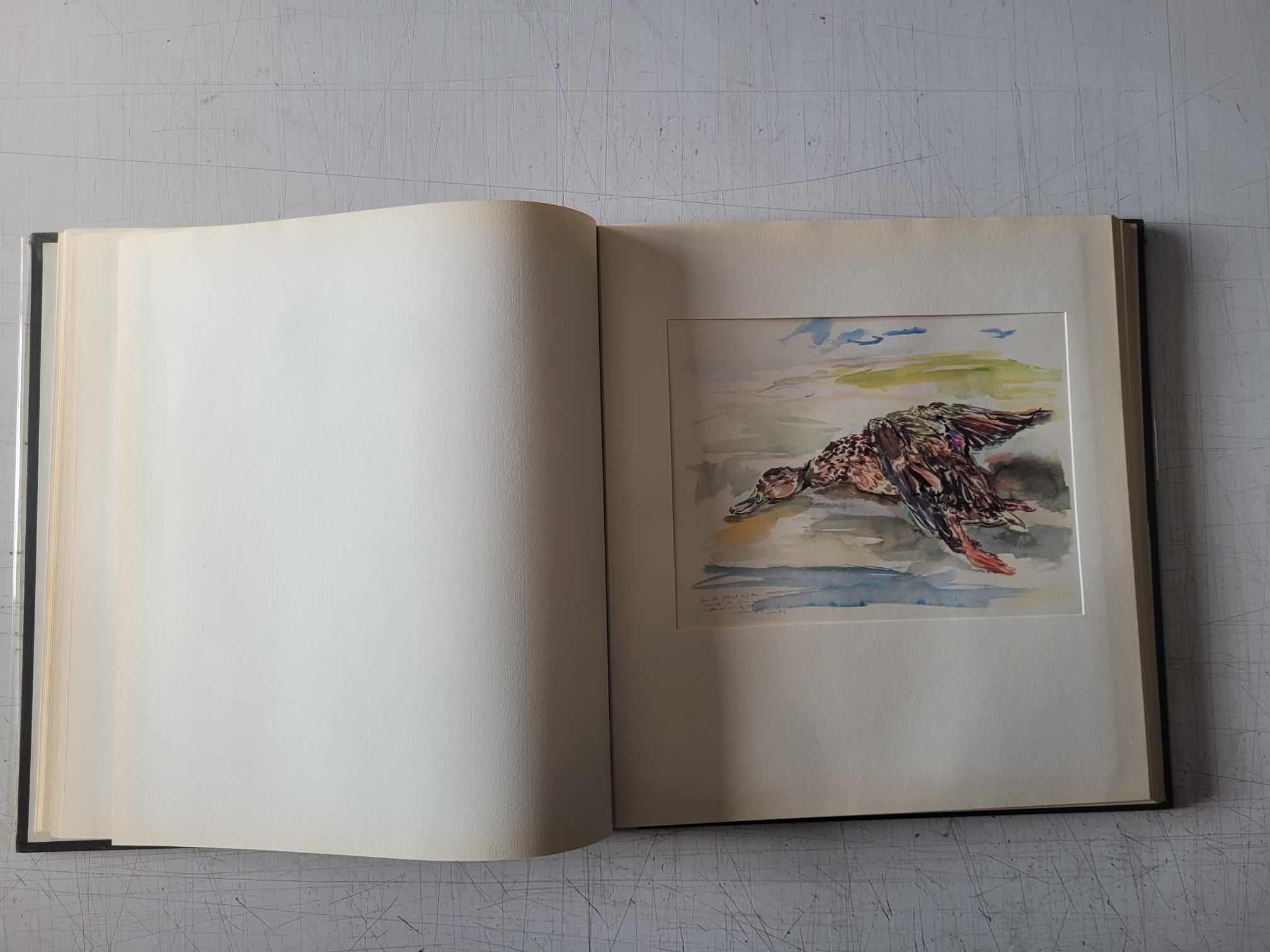 Oskar Kokoschka: Watercolors, Drawings, Writings by John Russell (Vint ...