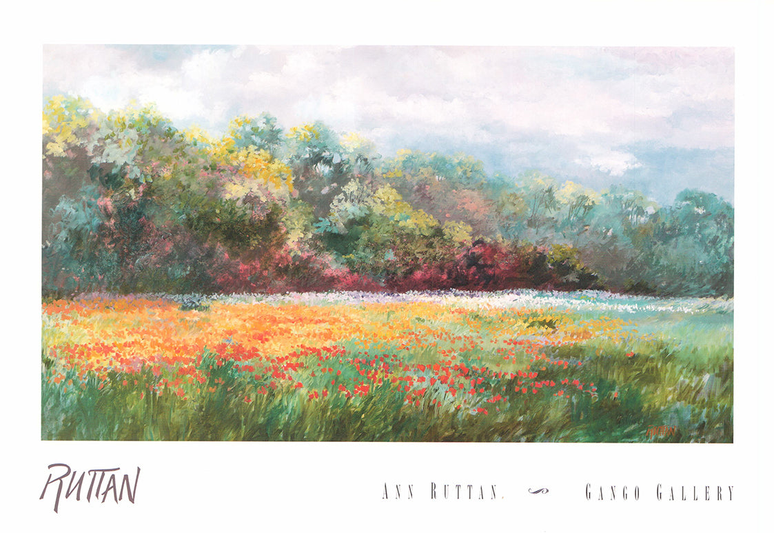 Poppies, 1994 by Ann Ruttan - 11 X 16 Inches (Art Print) – Artistica ...